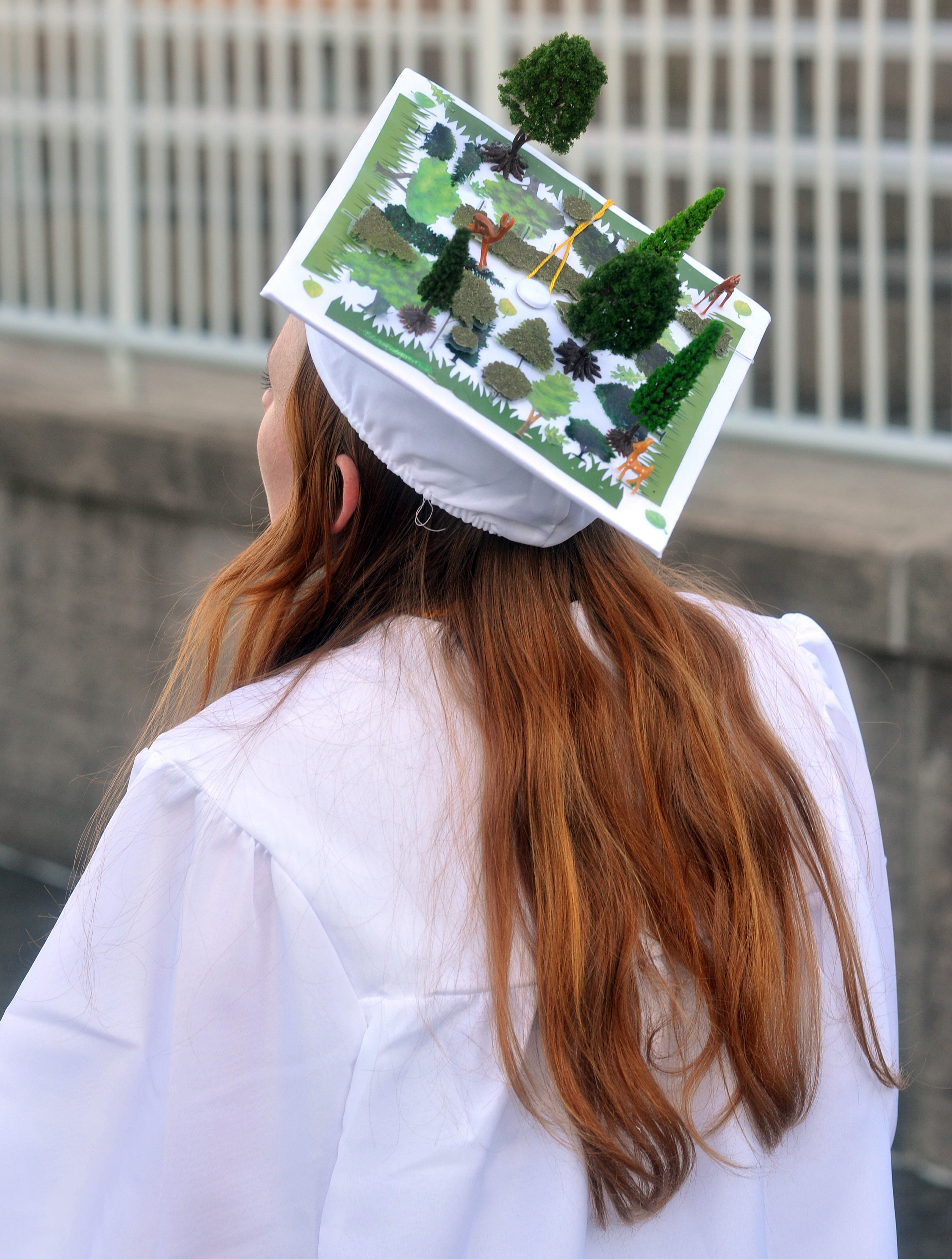 Bordentown High School Seniors Held Their Graduation at the school on 6 ...