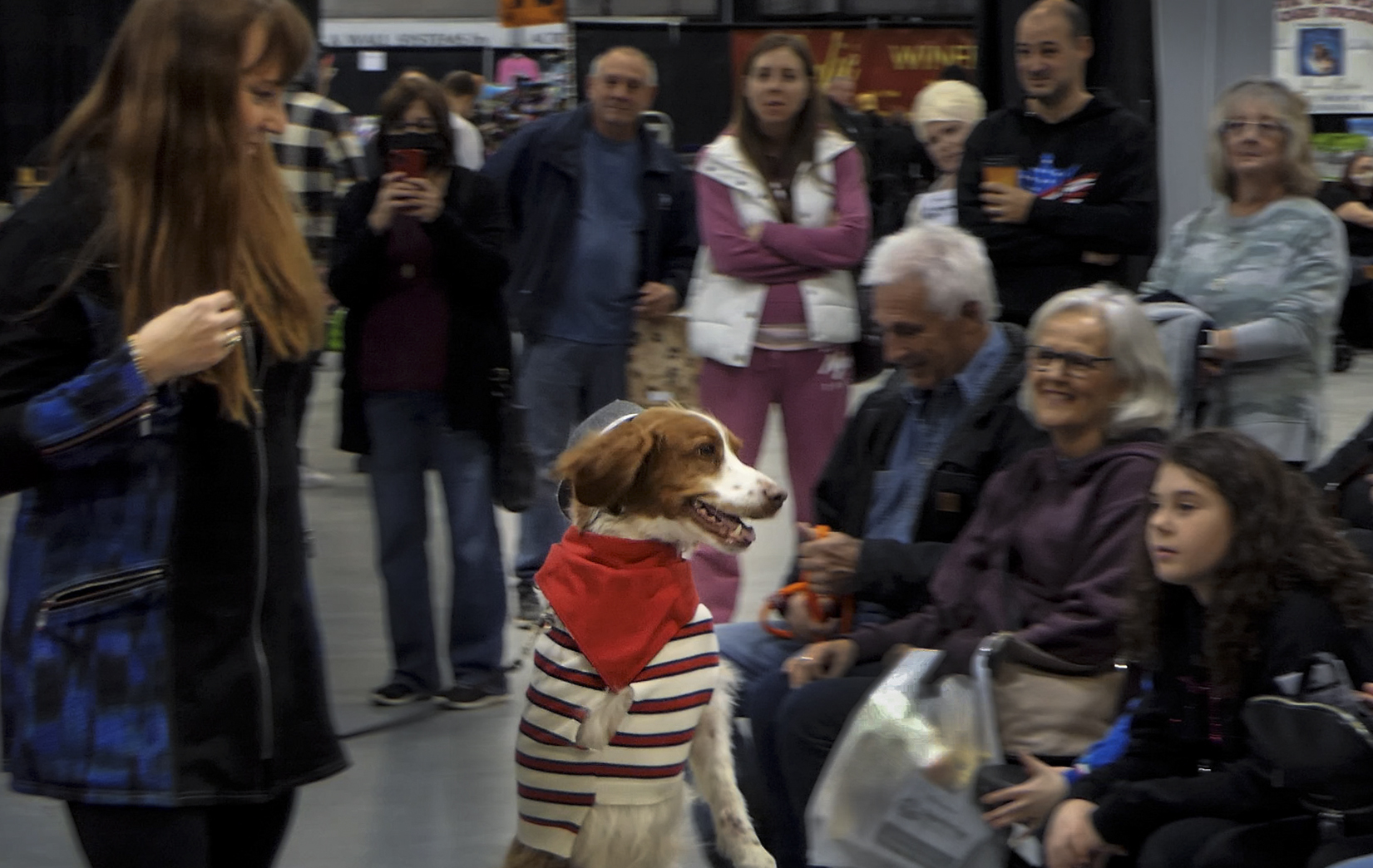 Super Pet Expo features social media sensation Dexter the Dog - nj.com