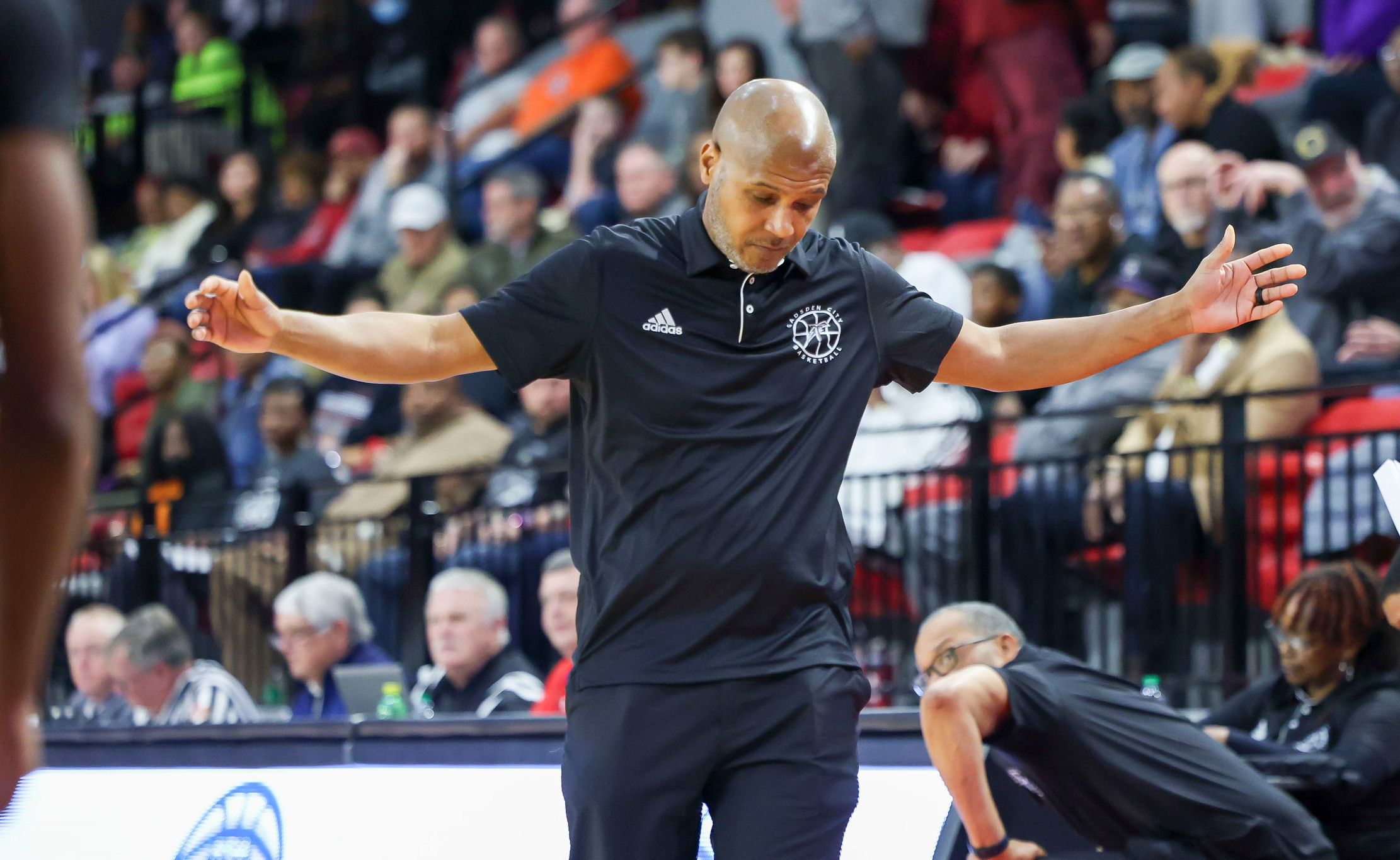 AHSAA NE Regional Basketball-6A Girls - al.com