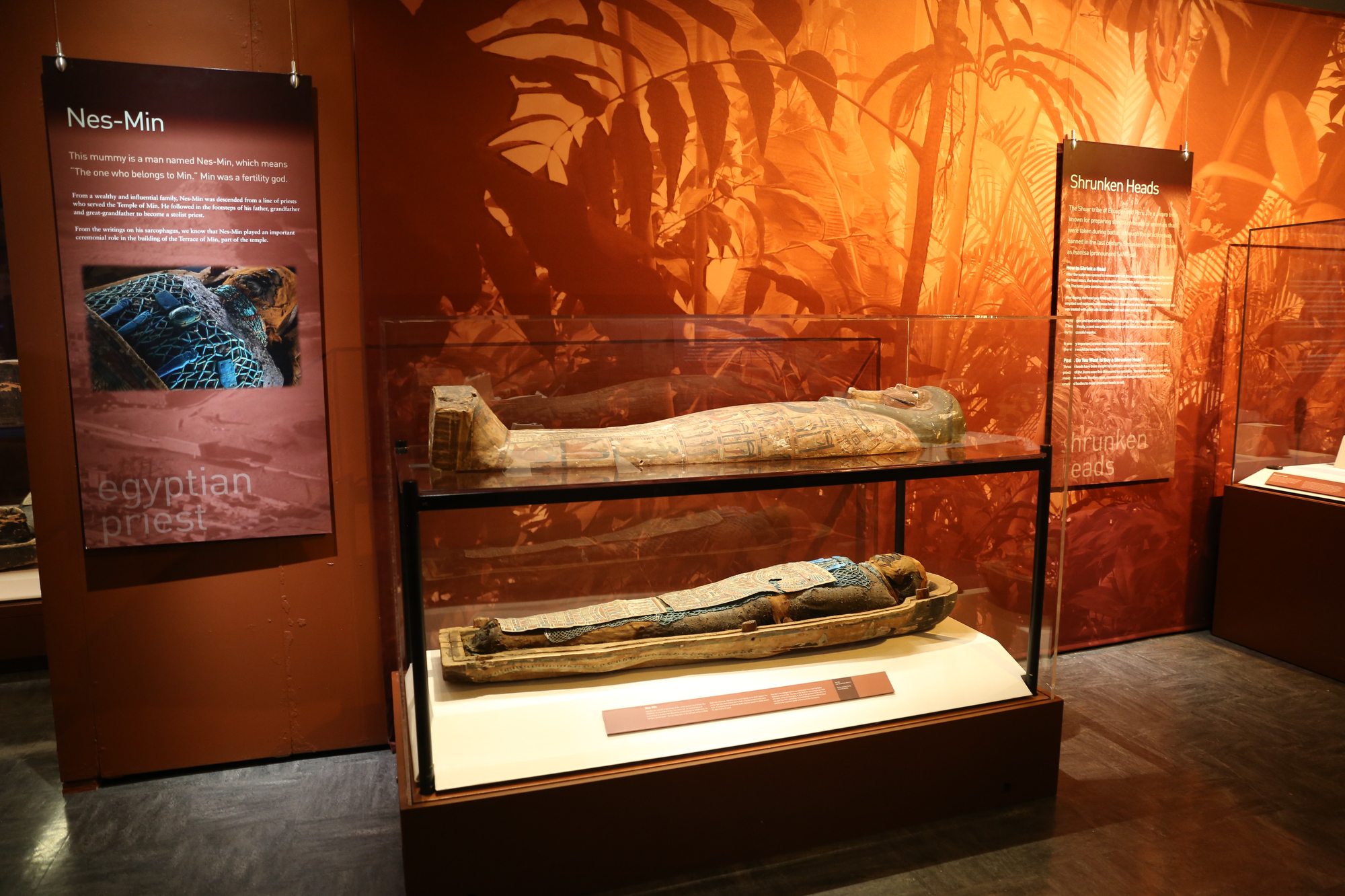 Mummies of the World on display at the Corner Gallery - cleveland.com