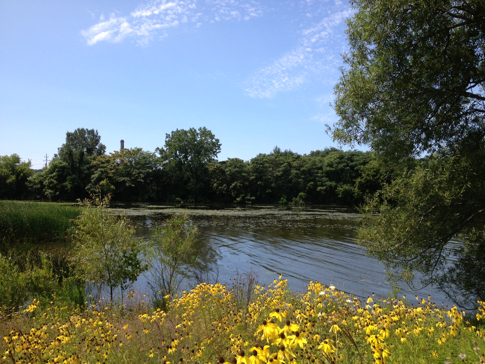 Muskegon Lake cleanup efforts - mlive.com