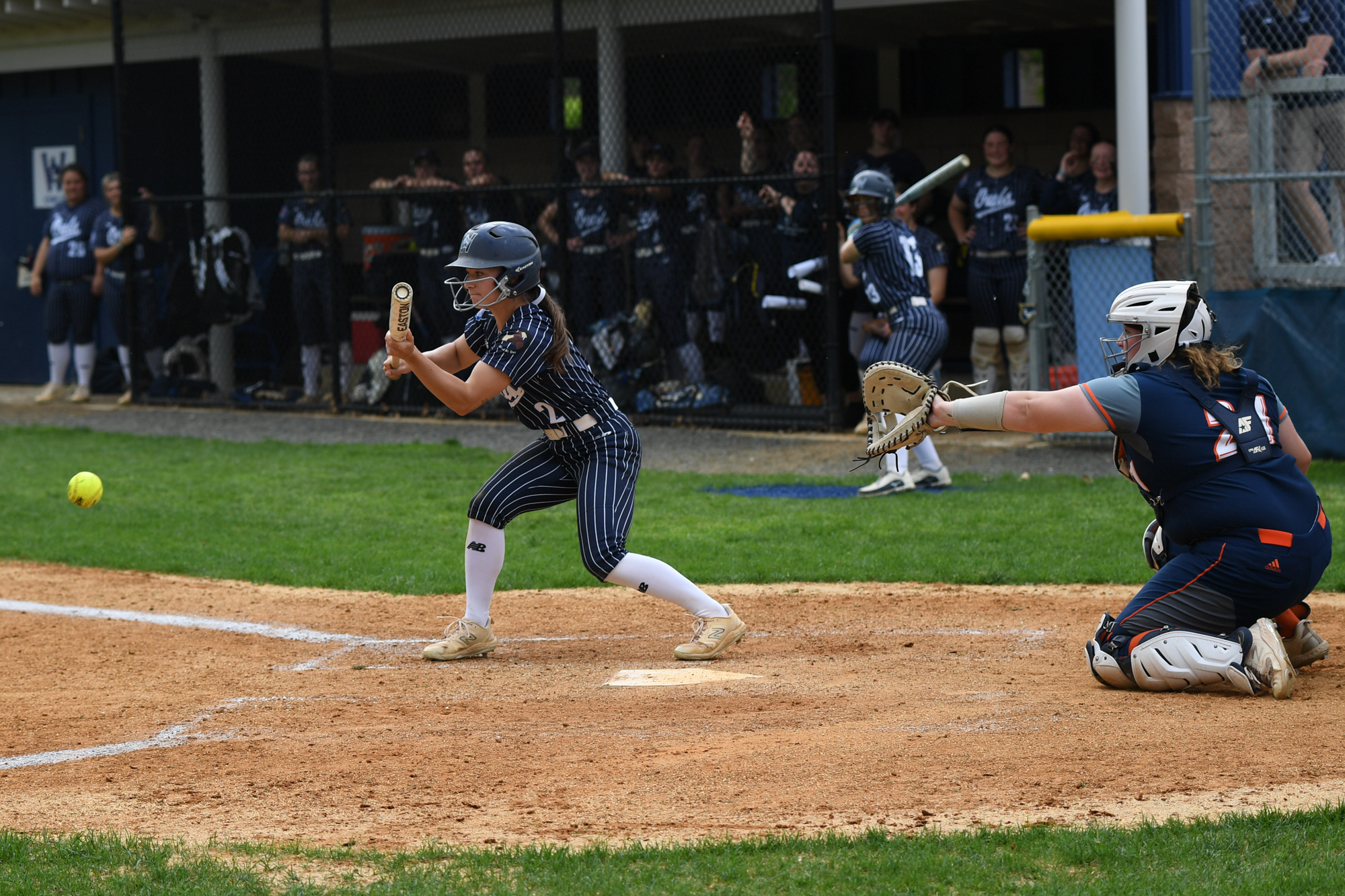 5-8-25 No. 1 Westfield State University softball vs. No. 5 Salem State ...