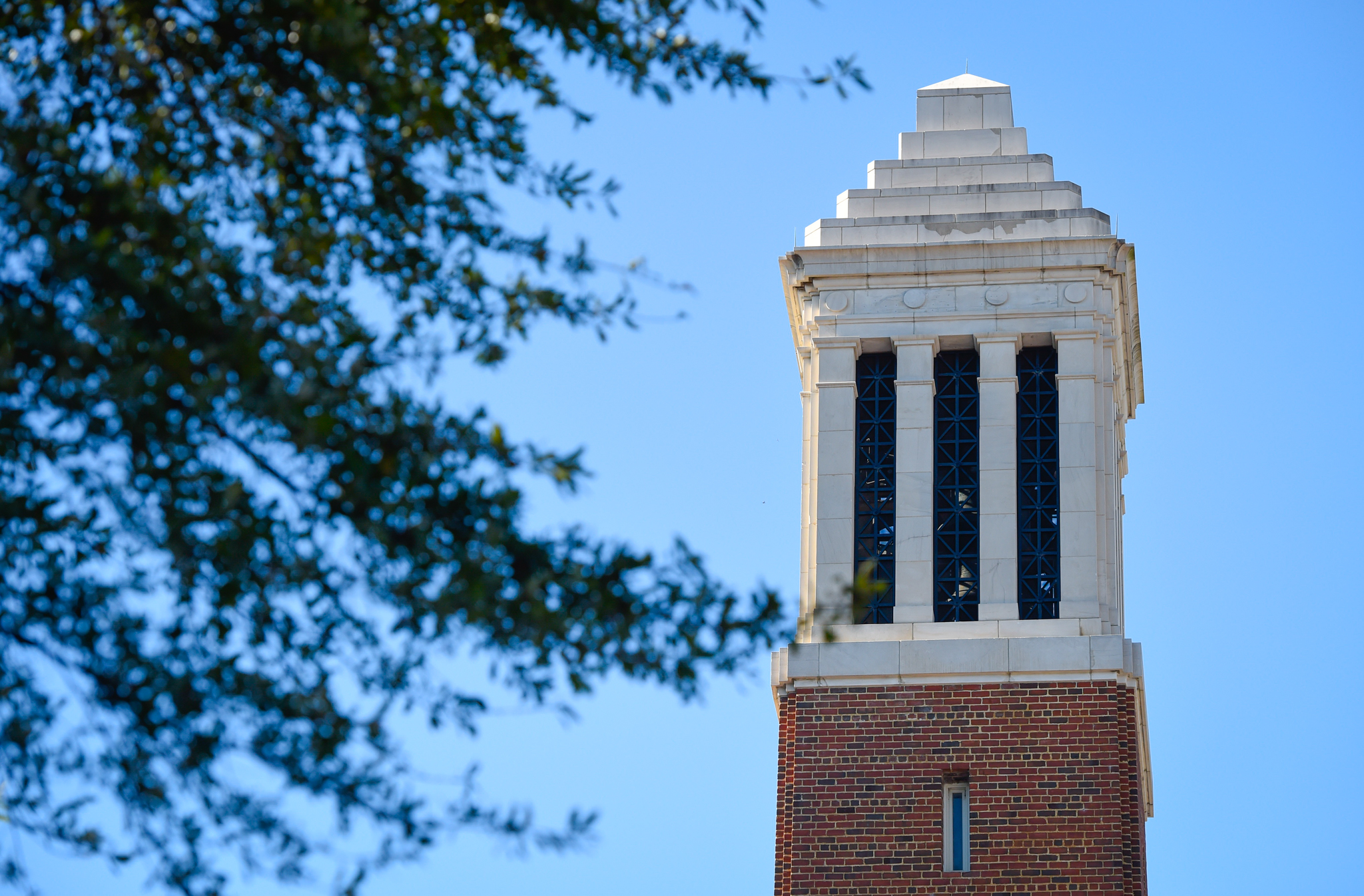 Alabama Football Fans LSU 2021 - al.com