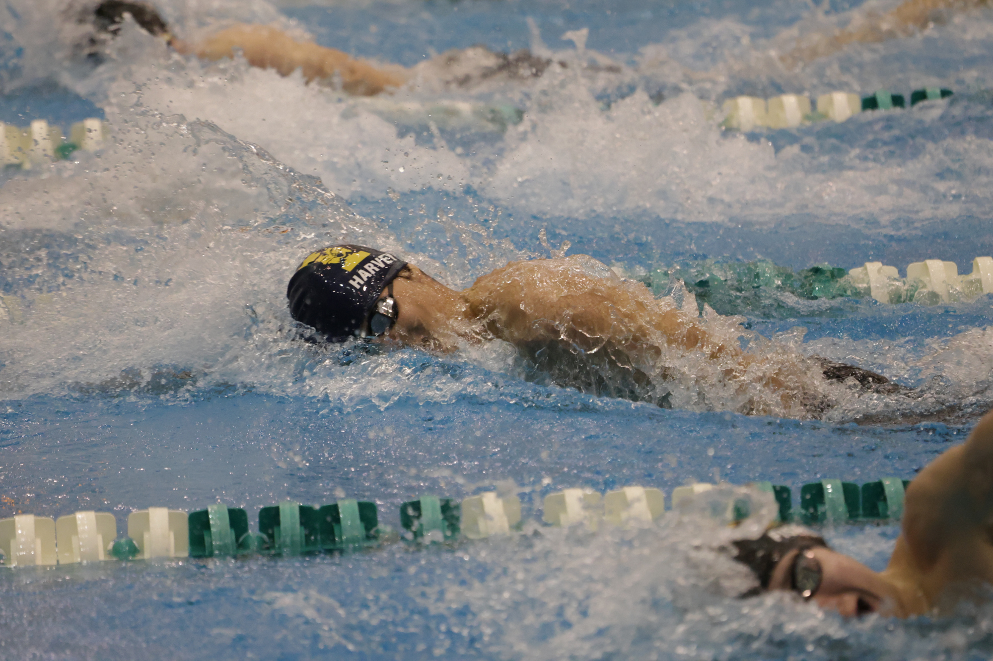 49th Viking Invitational Swim Meet at CSU - cleveland.com