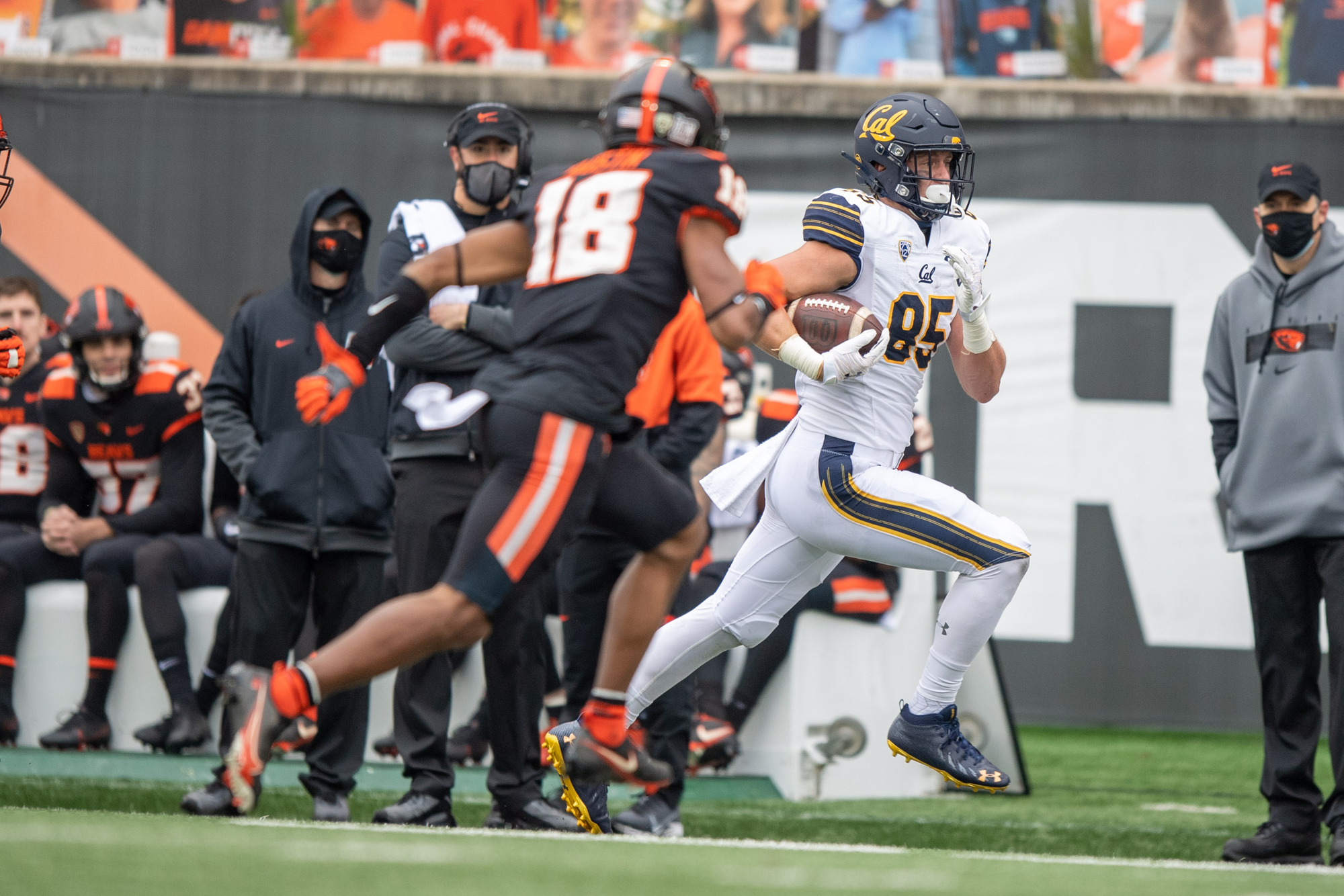 Oregon State Beavers football vs. Cal Golden Bears - oregonlive.com