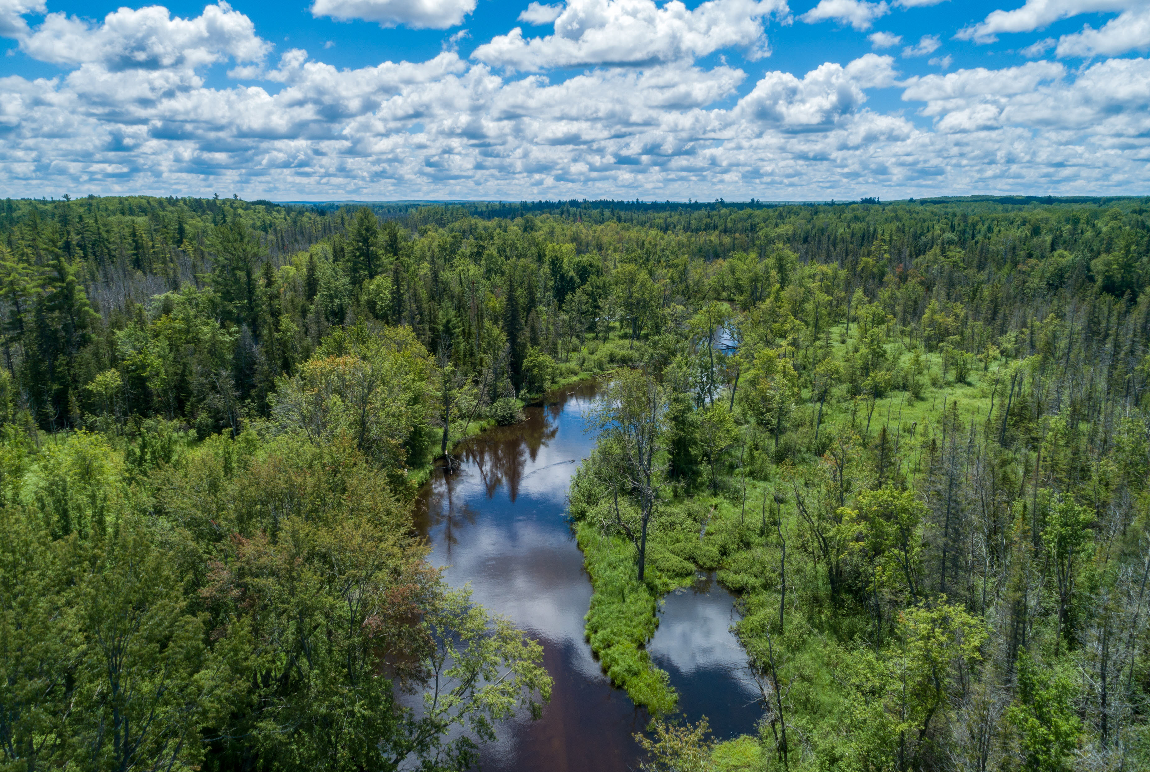 Black River Ranch purchased by Michigan DNR - mlive.com