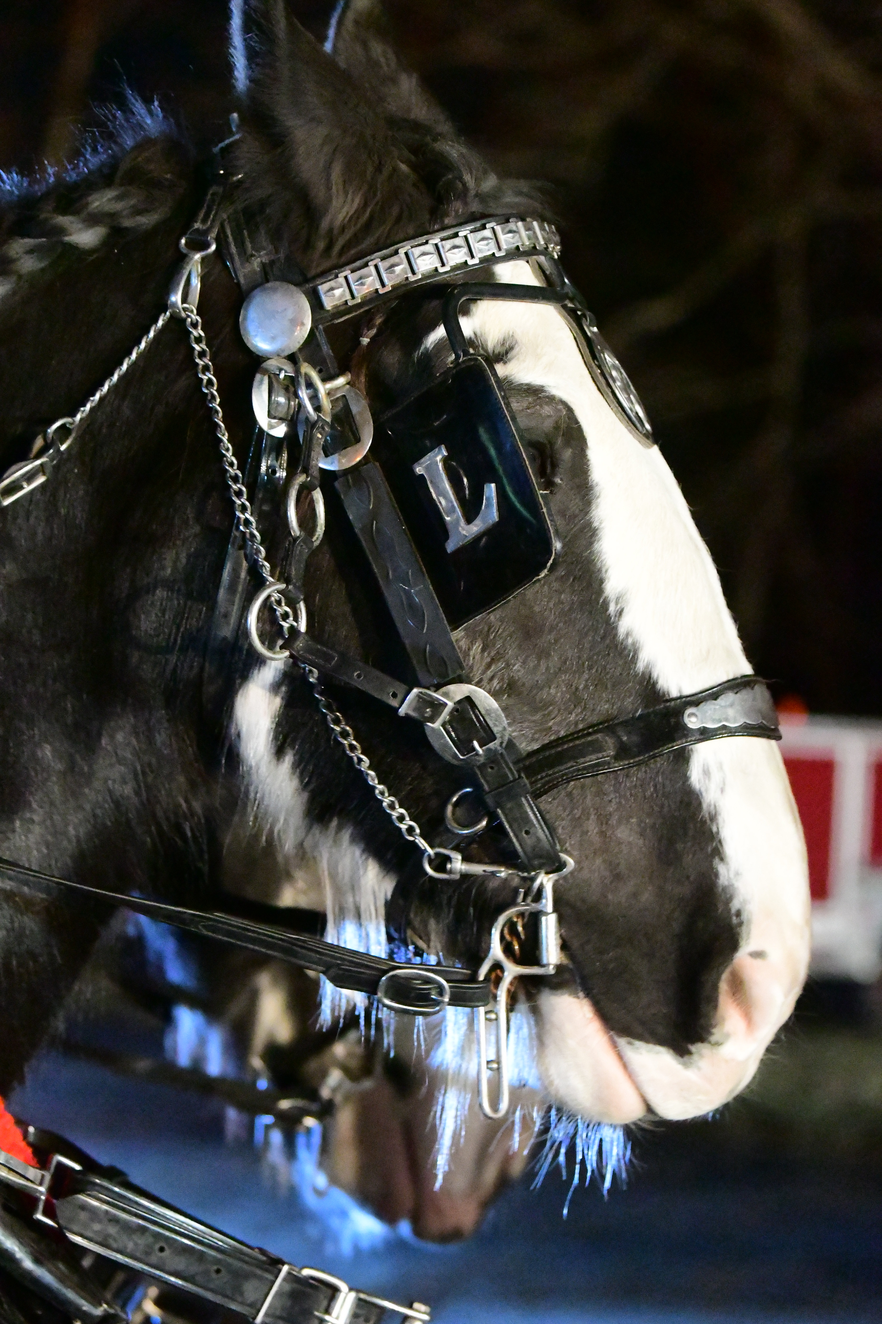 Clinton 14th Annual Yuletide Bonfire - nj.com