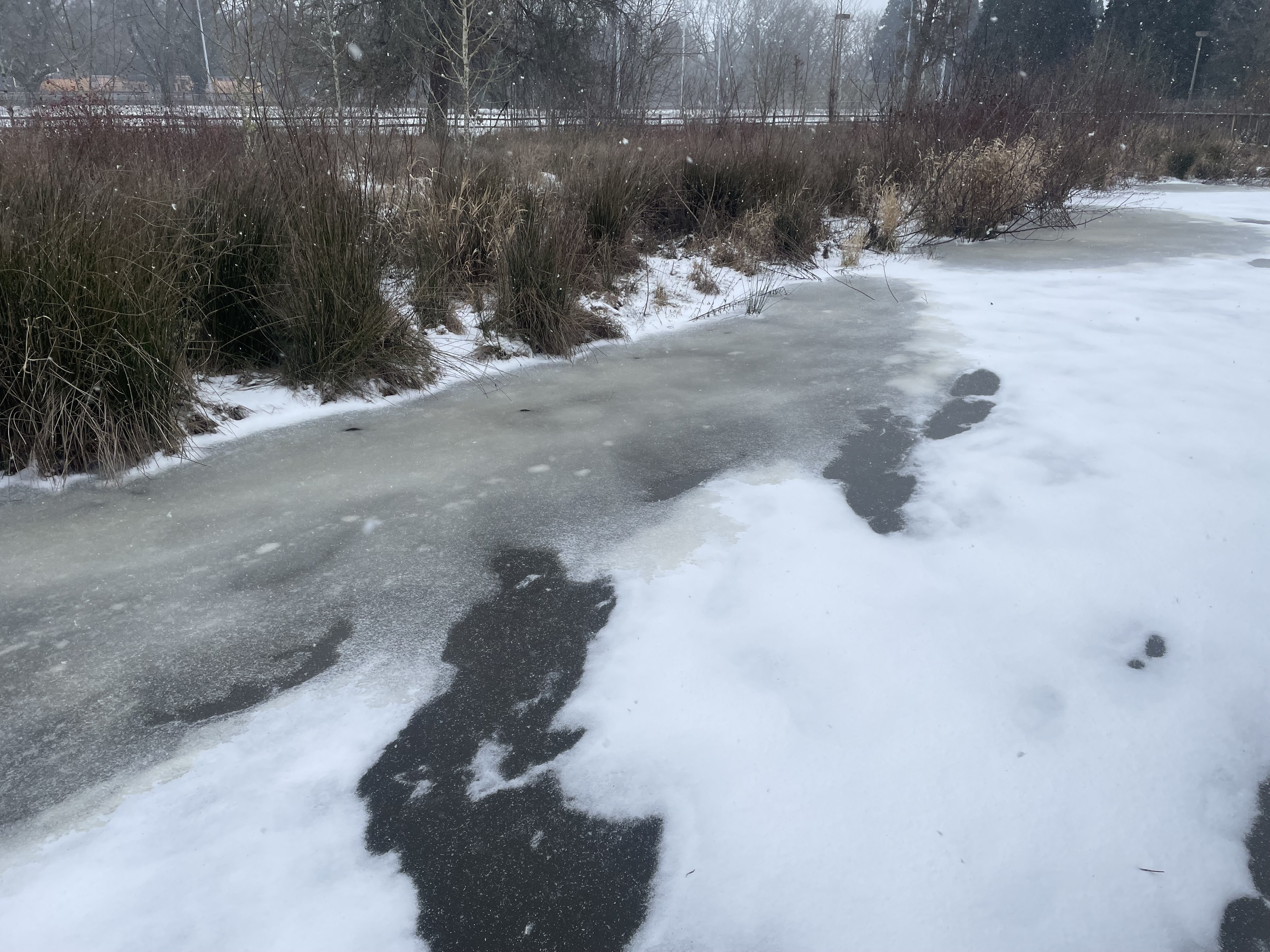 Portland snow, cold weather - oregonlive.com