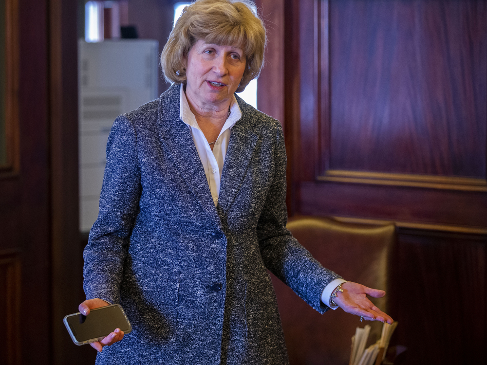 Pennsylvania Senate votes to meet electronically during coronavirus ...