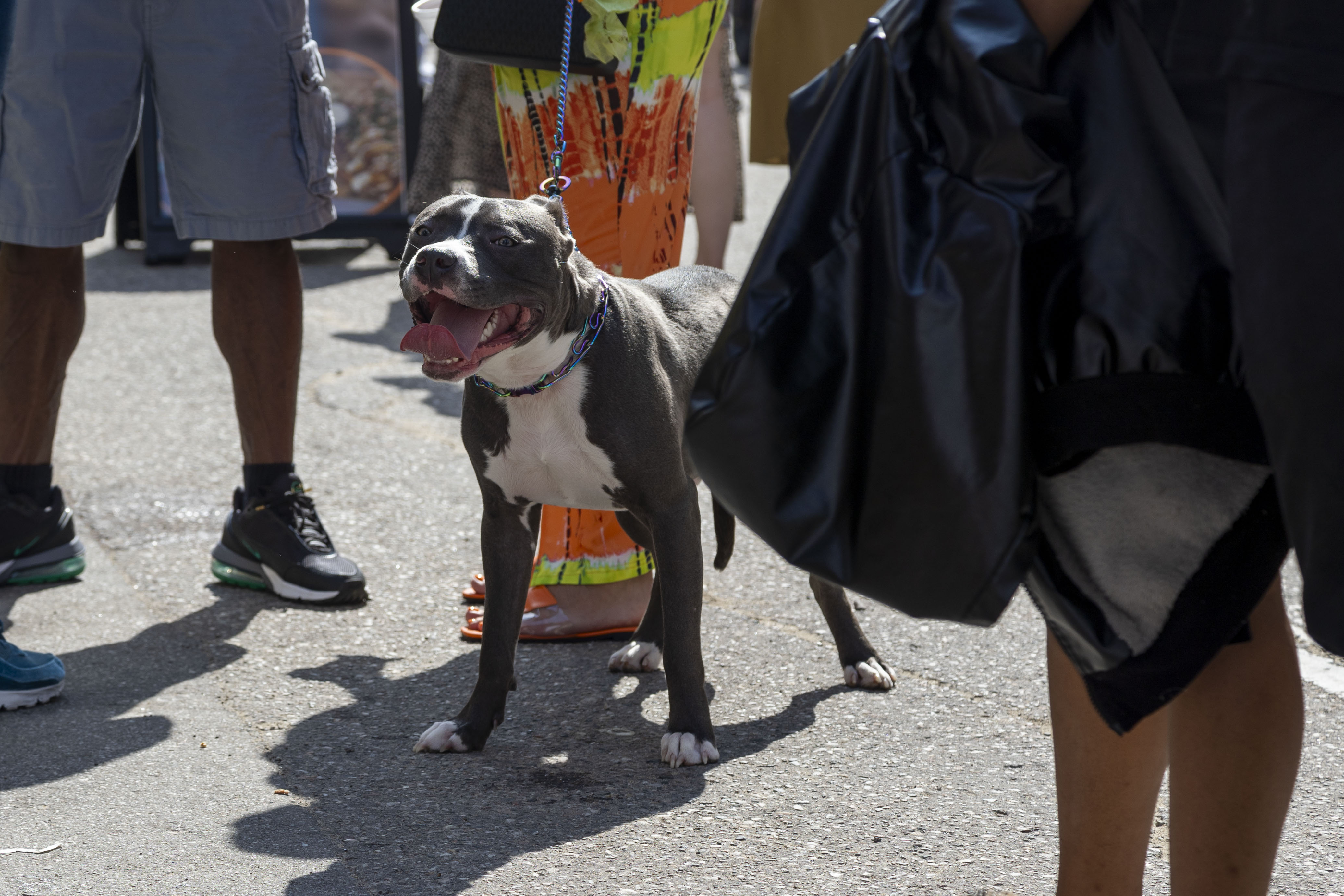 Hundreds flock to Buckham Alley for Alley Fest - mlive.com