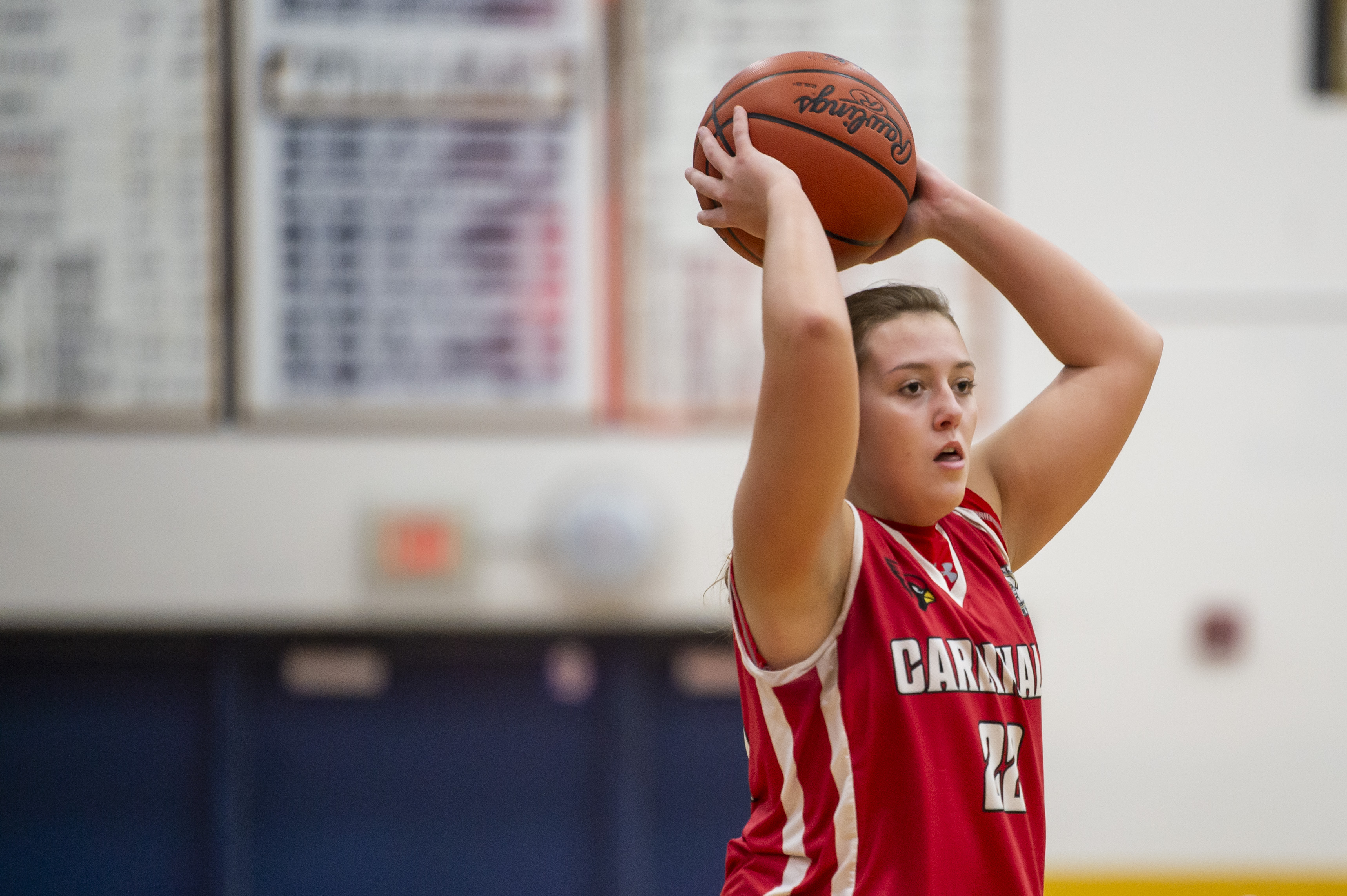 Standish-Sterling girls basketball takes down Millington - mlive.com