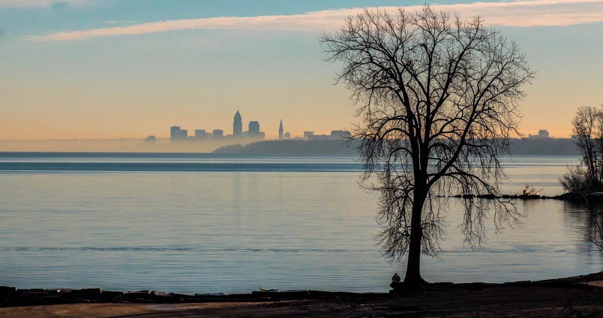 Huntington Beach says goodbye to iconic shoreline tree - cleveland.com