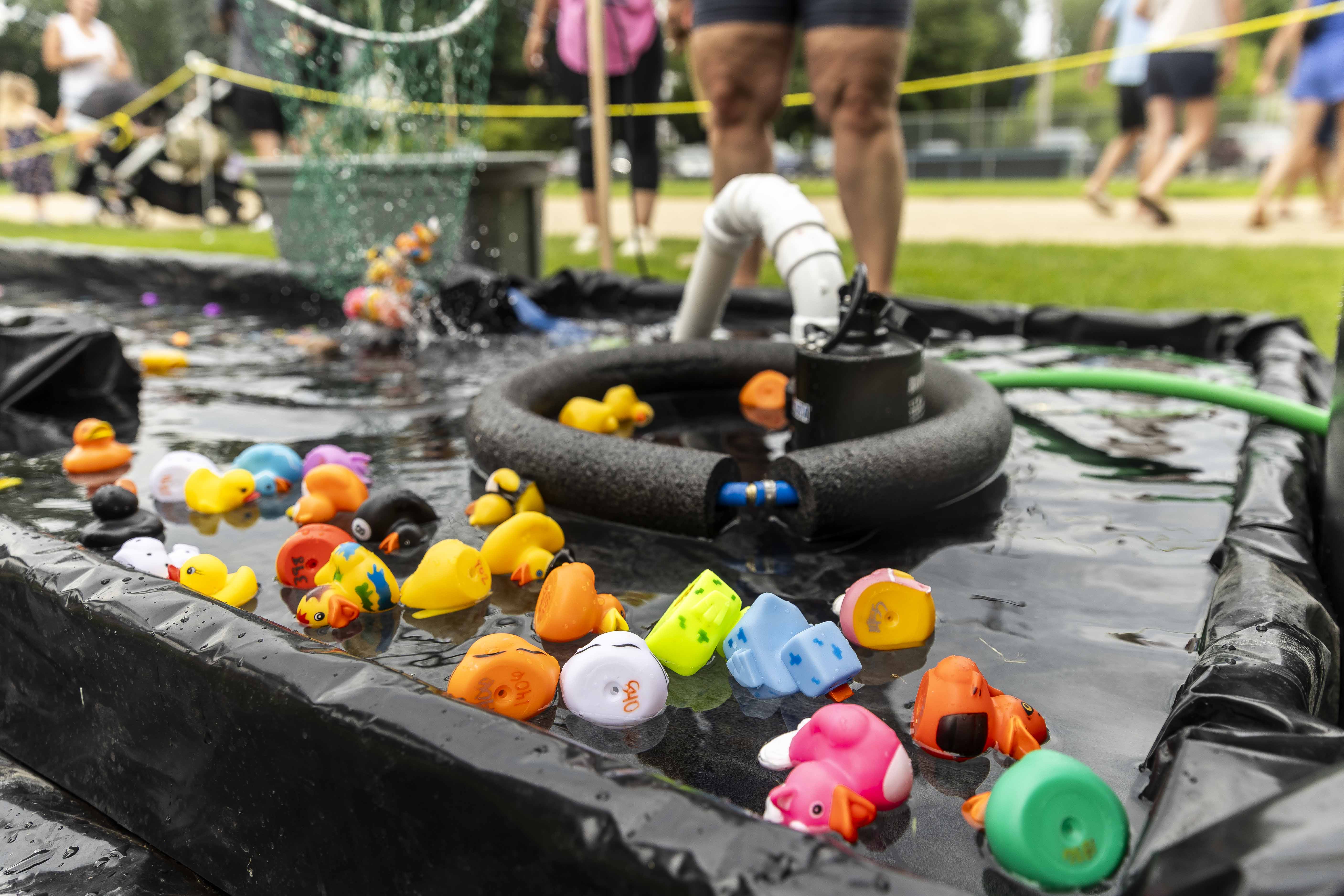 Douglas Duck Dash brings family fun to Saugatuck Venetian Festival ...