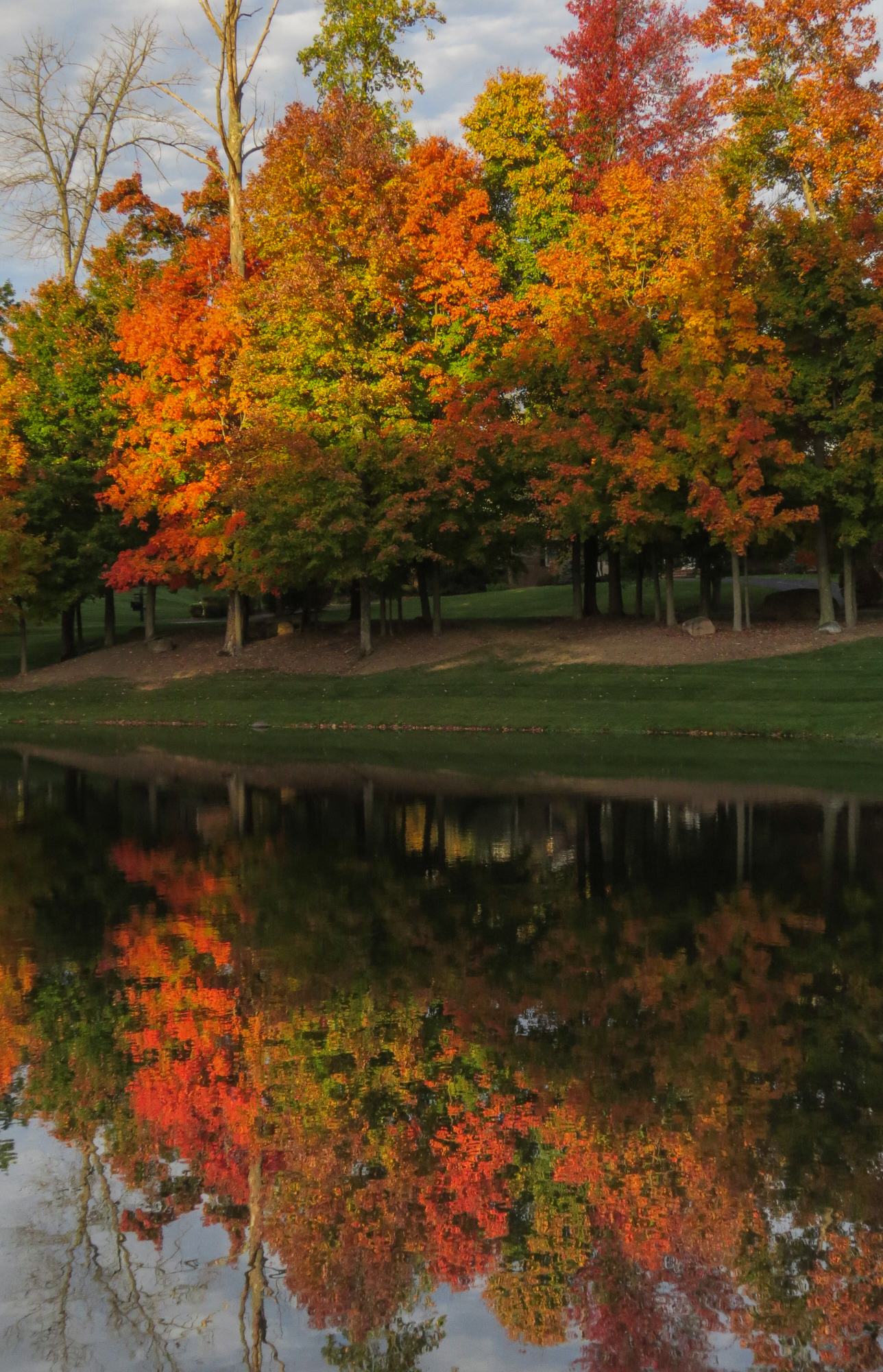 Fall colors in Northeast Ohio in 2020 - cleveland.com