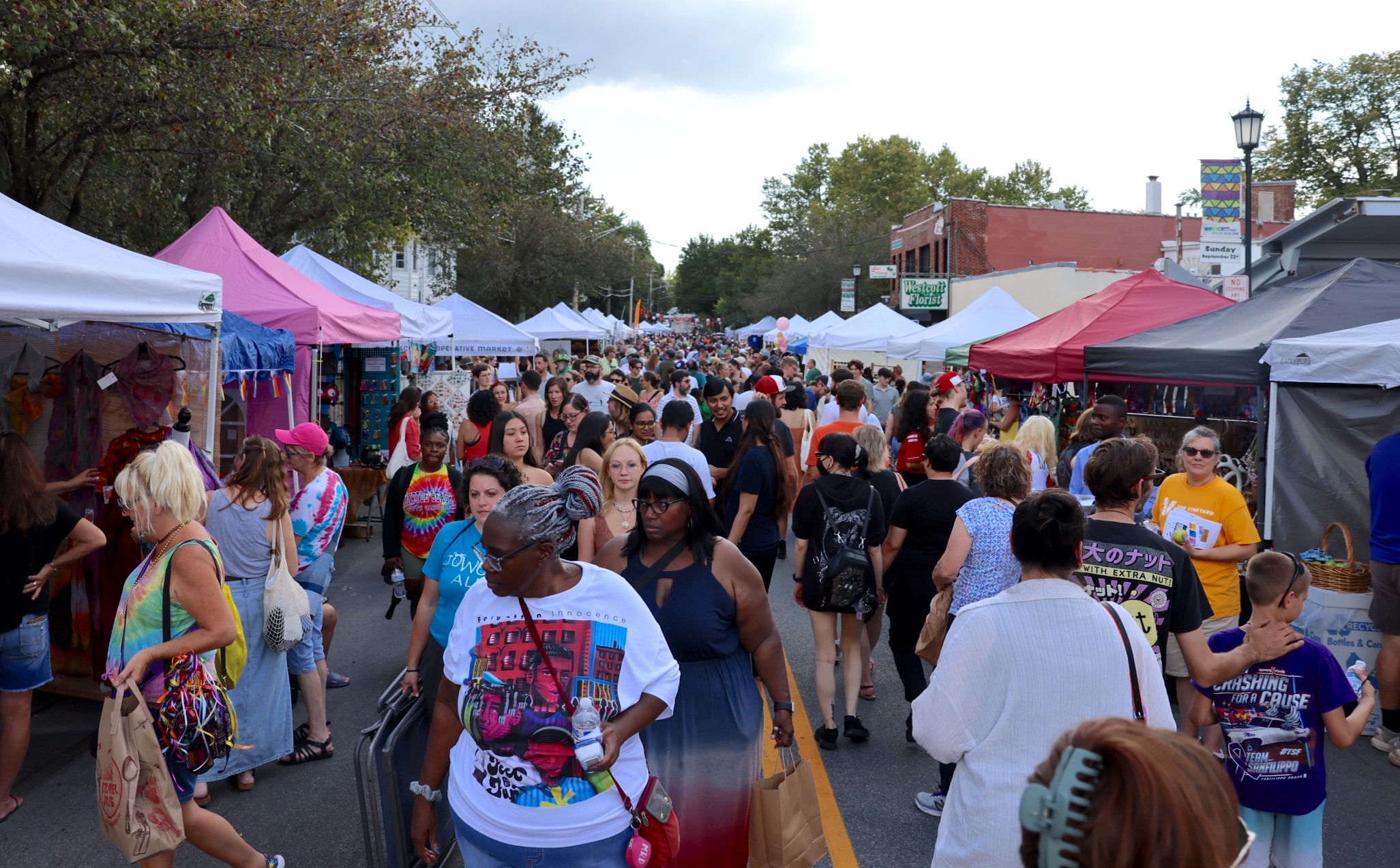 Westcott Street Cultural Fair draws hundreds to Syracuse neighborhood ...