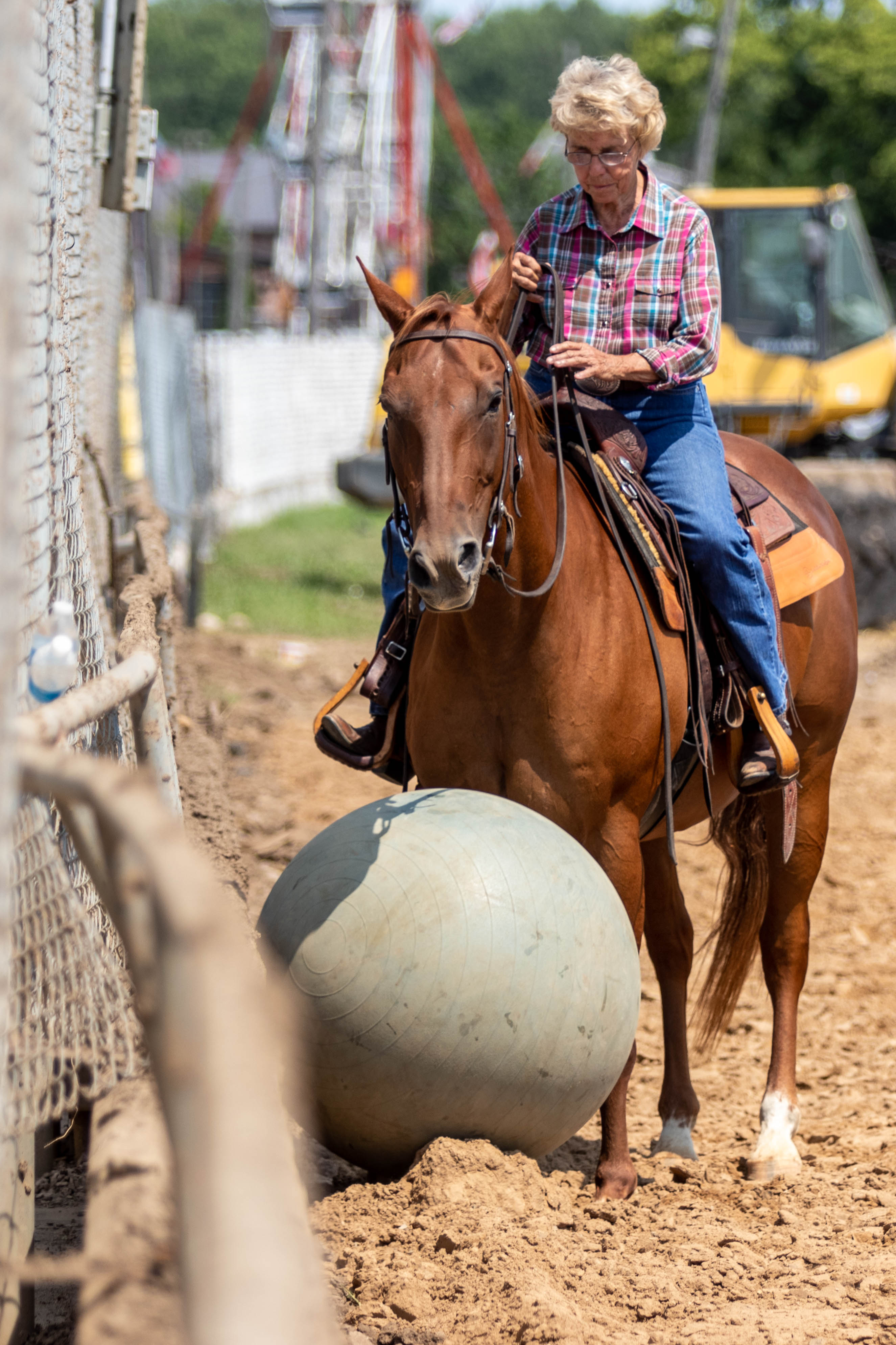 Horse Soccer Comes to the Ionia Free Fair - mlive.com