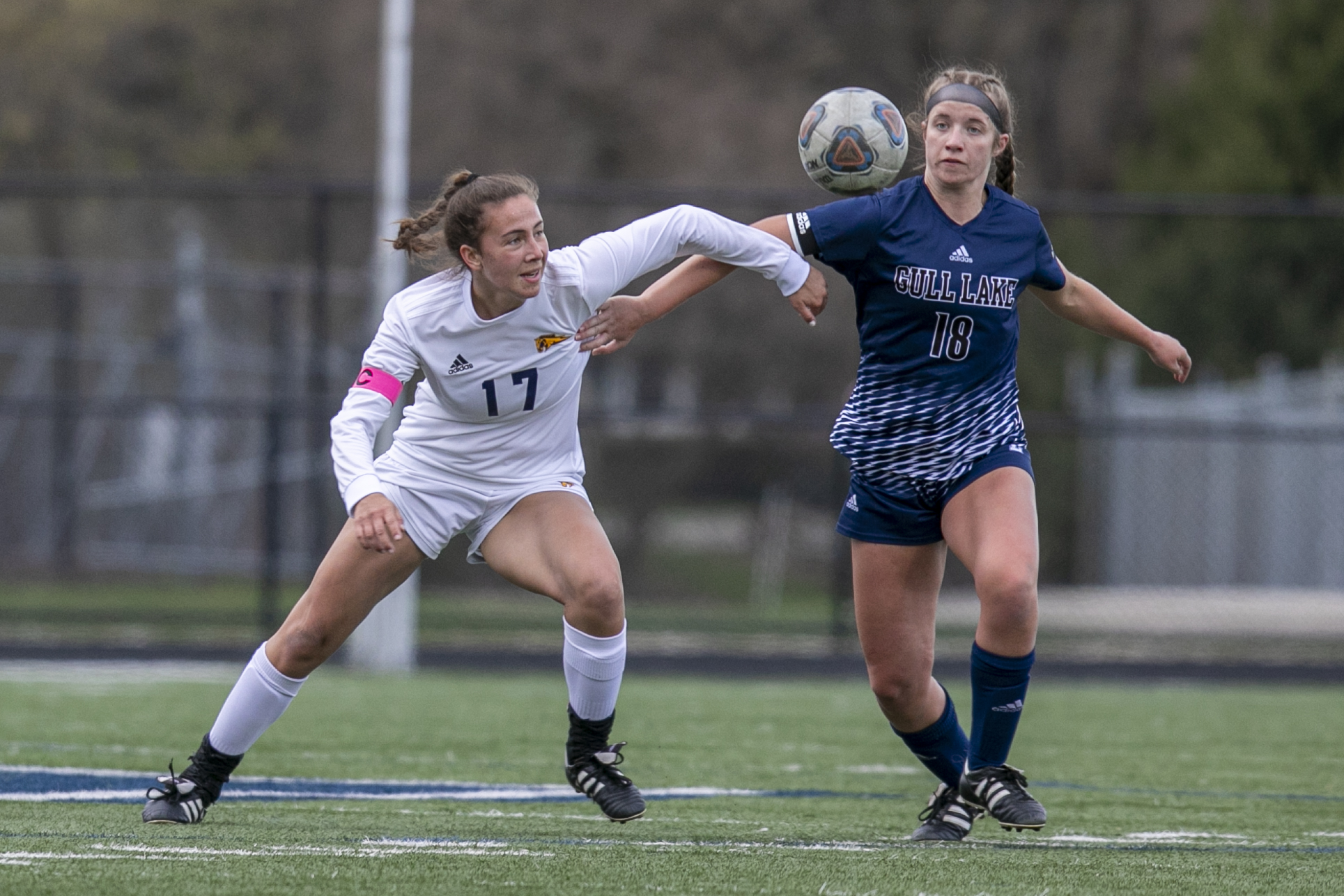 Gull Lake girls soccer defeats Portage Central 1-0 - mlive.com