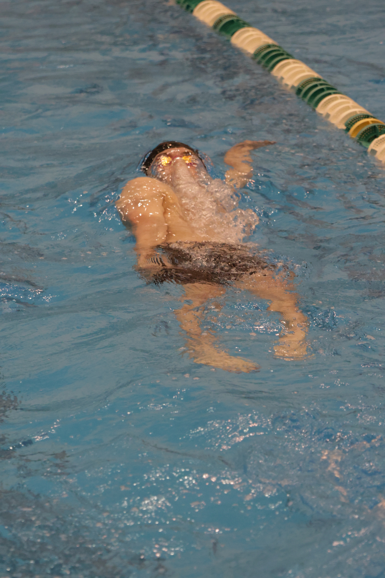 49th Viking Invitational Swim Meet at CSU - cleveland.com