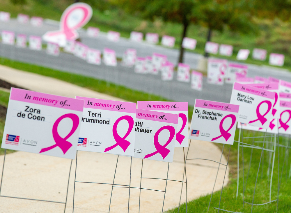 Making Strides Against Breast Cancer - pennlive.com