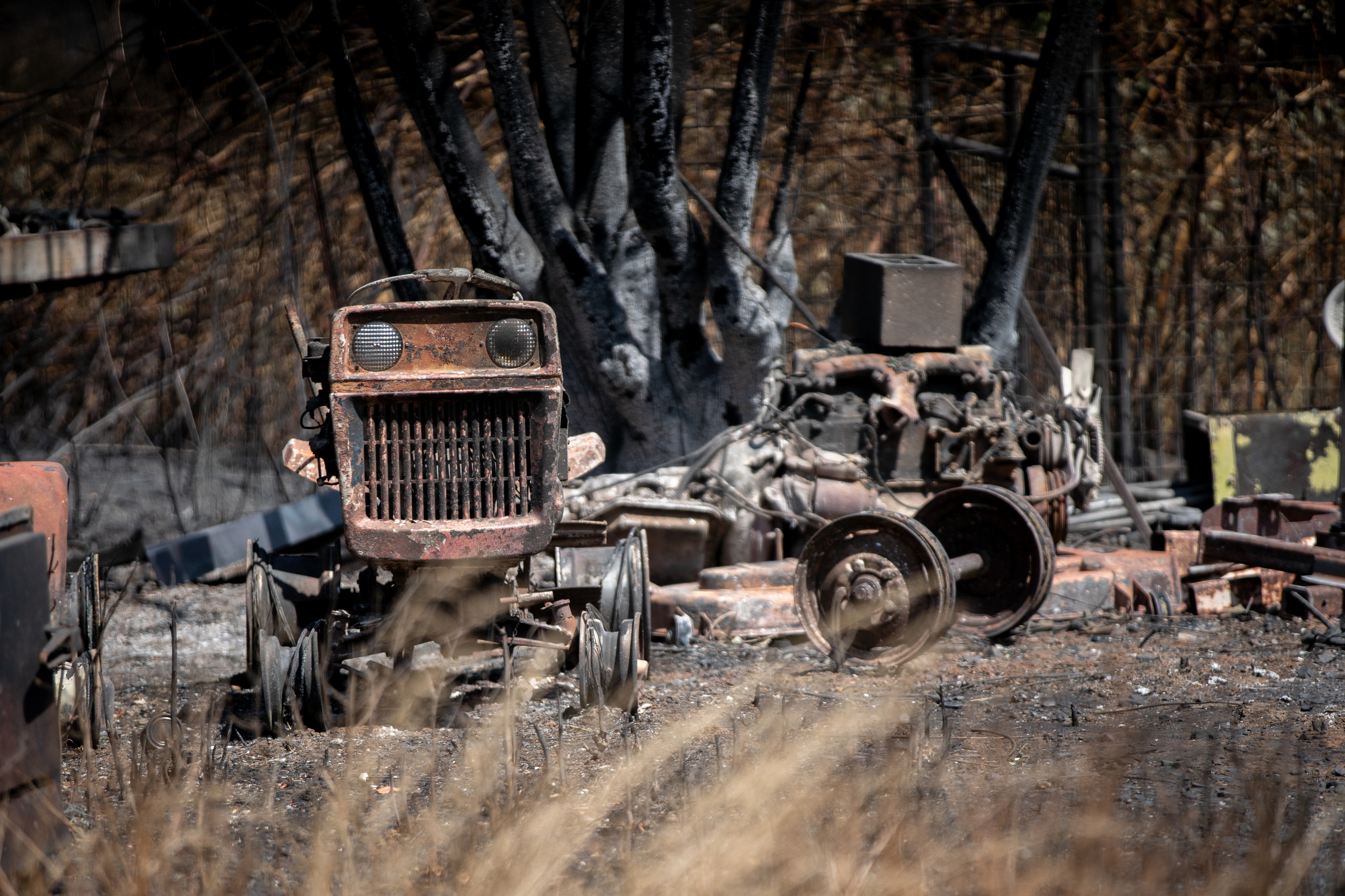 After the flames: Scenes from the Rowena fire - oregonlive.com