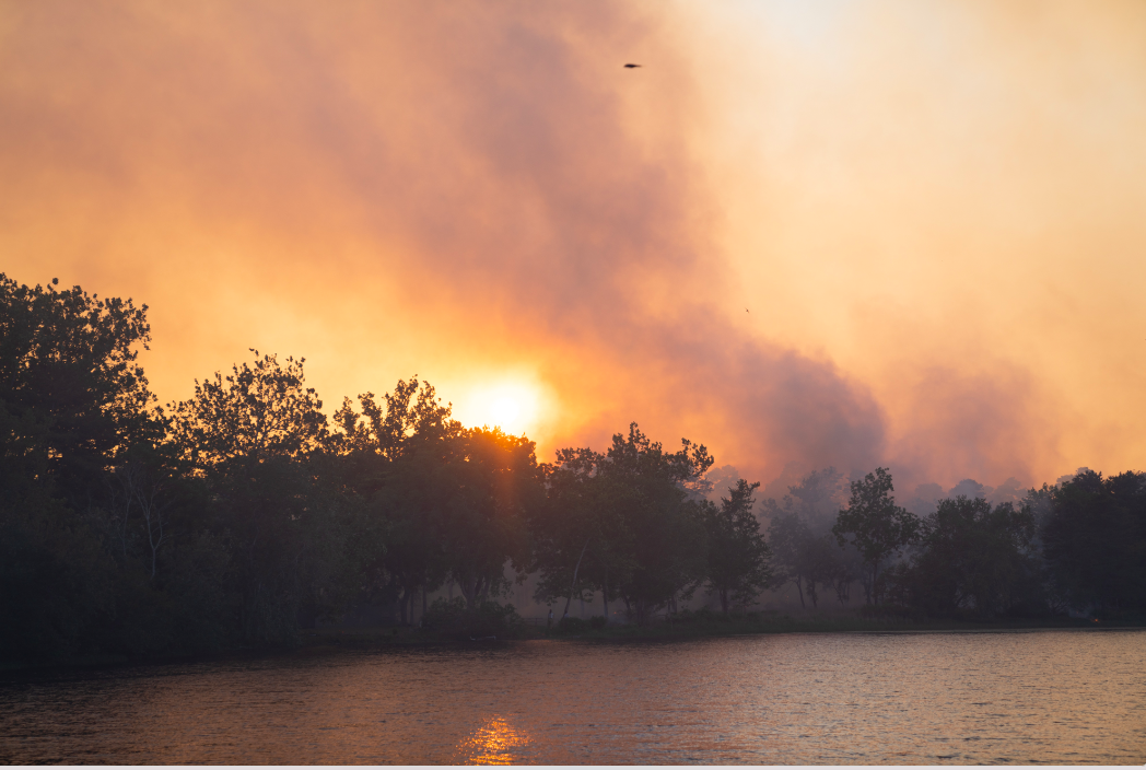 Wharton State Forest wildfire, June 20, 2022 - pennlive.com