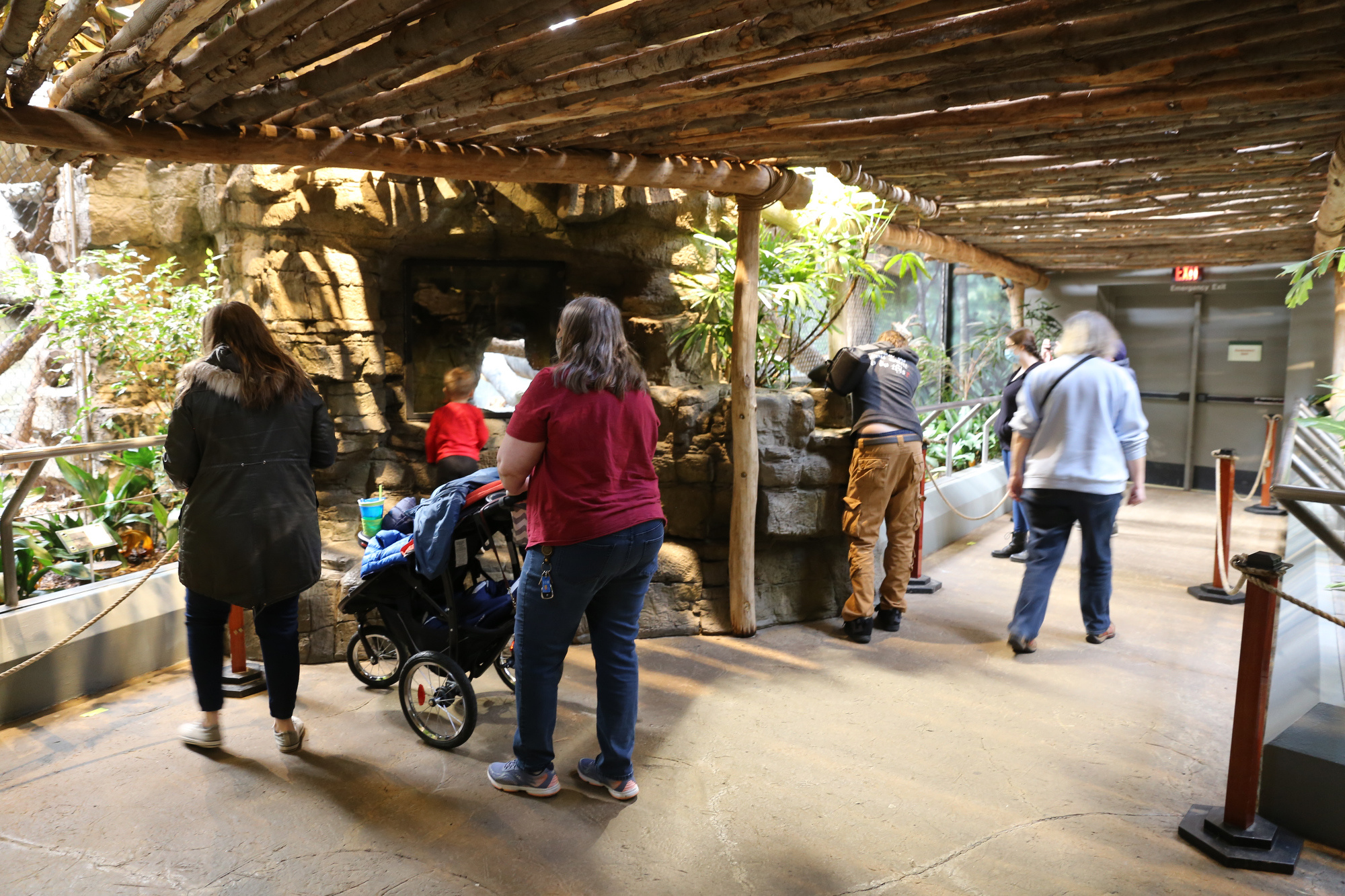 RainForest at Cleveland Zoo reopens - cleveland.com