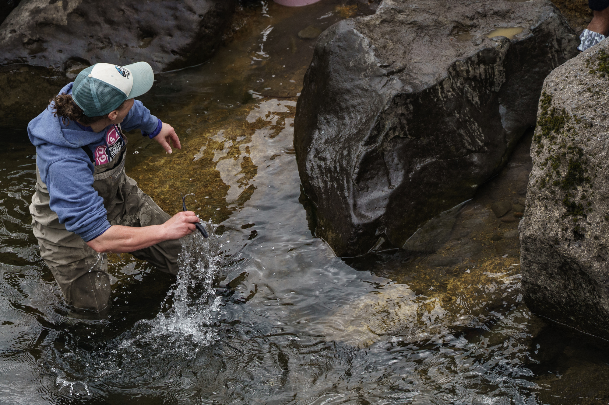 Smelt dipping returns to the lower Sandy River - oregonlive.com