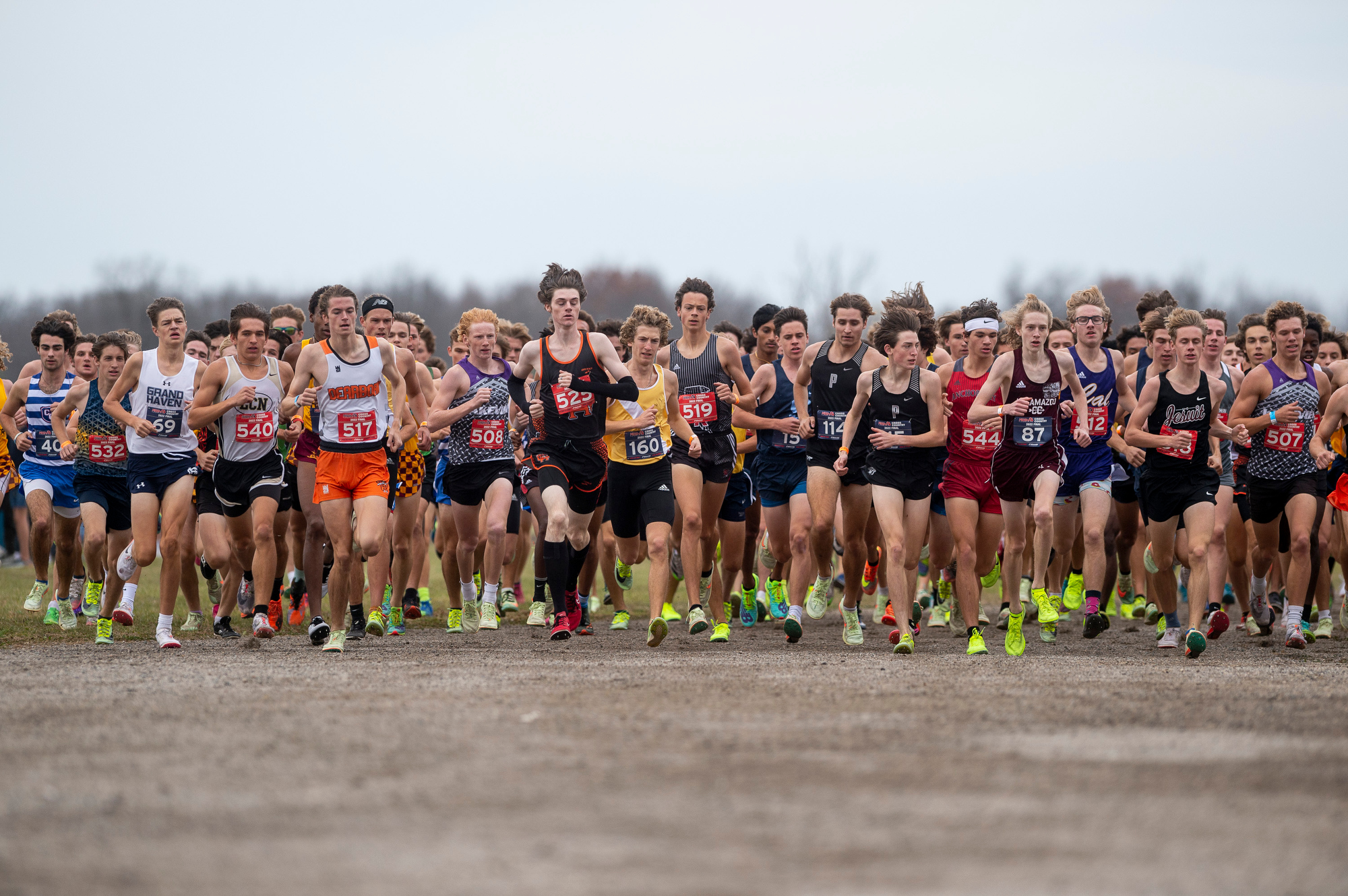Division 1 boys Michigan state cross country championships 2022 - mlive.com