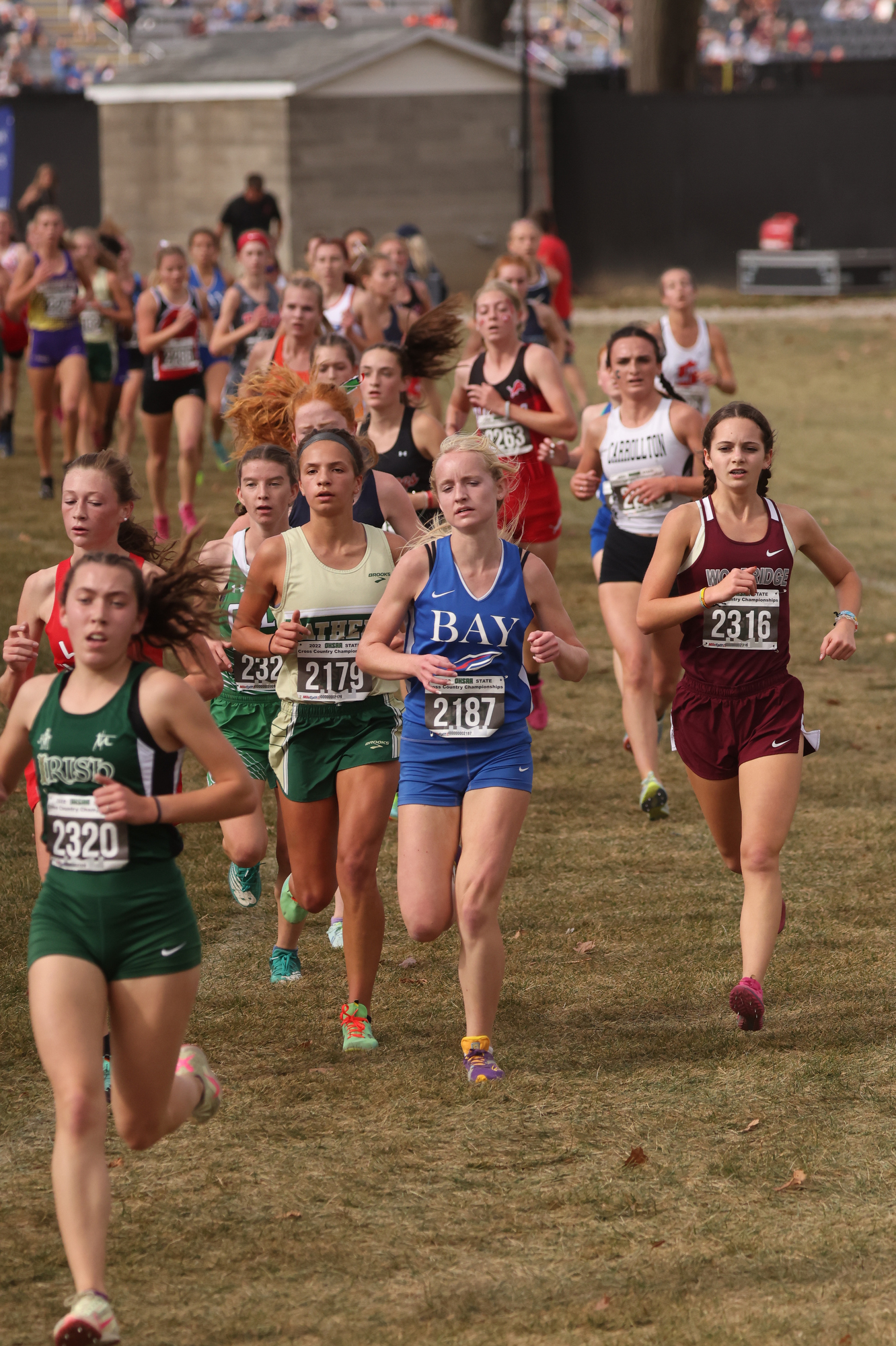 Division II Ohio High School Cross Country Championships 2022 ...
