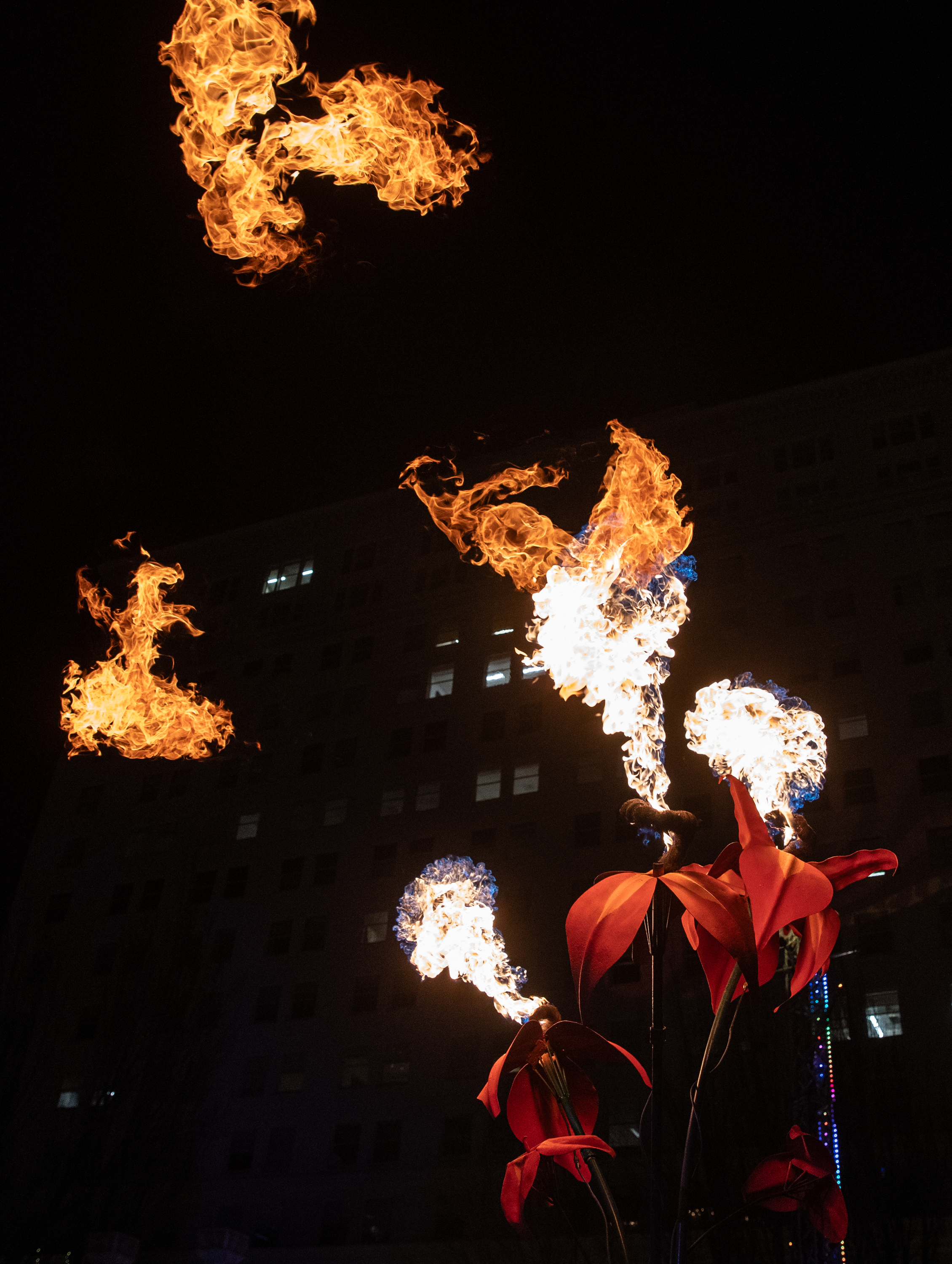 Portland Winter Light Festival 2024 - oregonlive.com