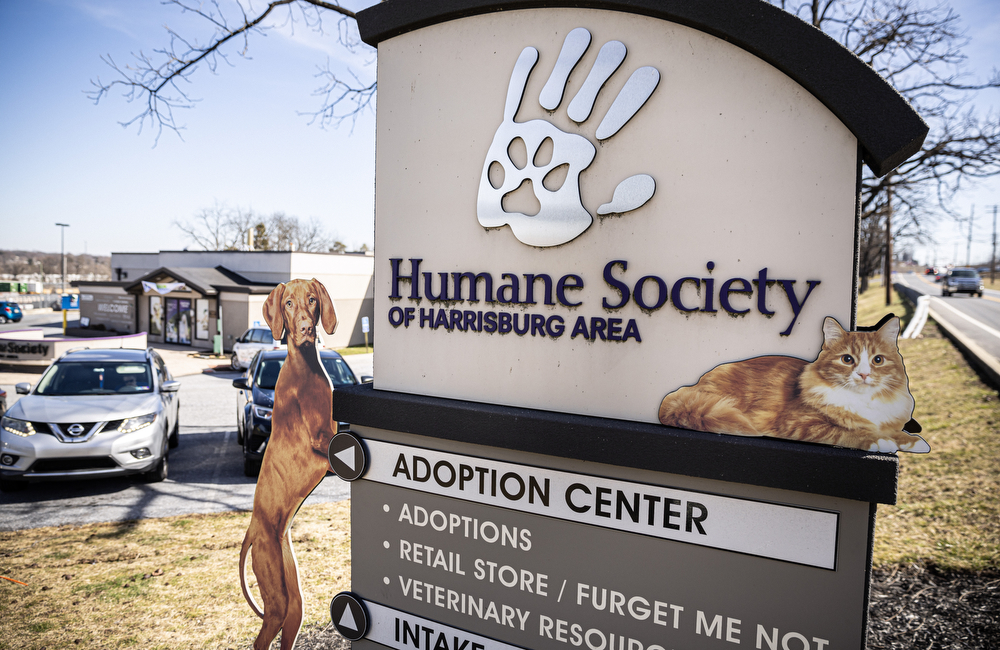 Humane Society of Harrisburg Area removes breed labeling of shelter ...