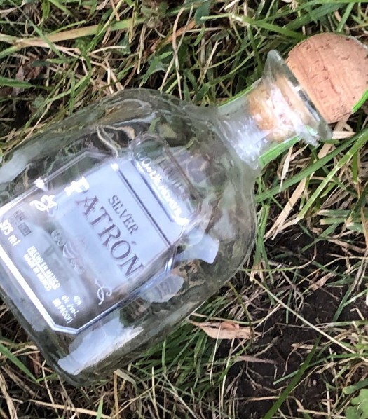 Lawsuit filed against Carrollton Township woman who hosted party where ...