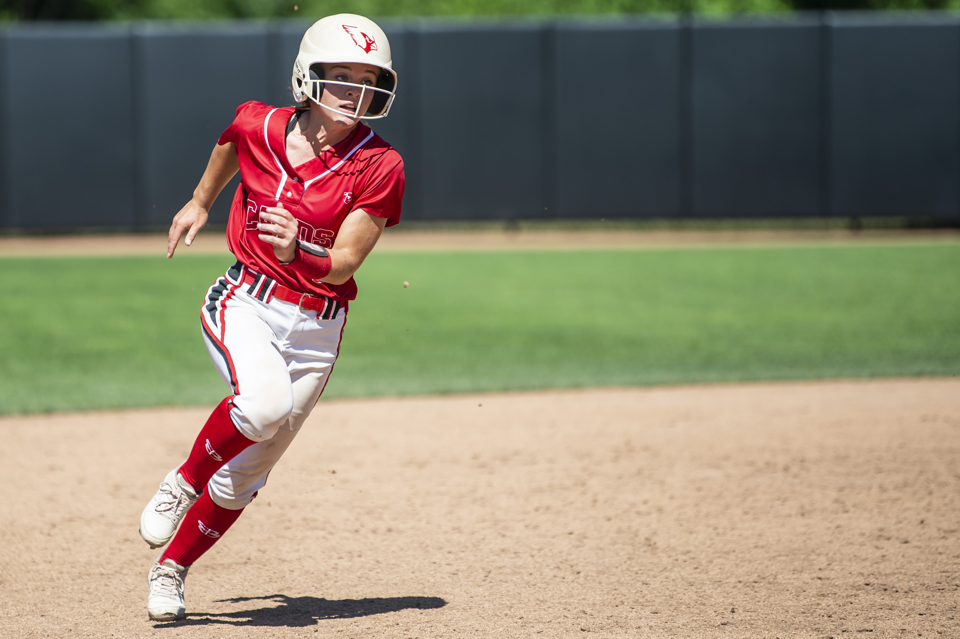 Millington wins Division 3 championship in eighth inning over Evart ...