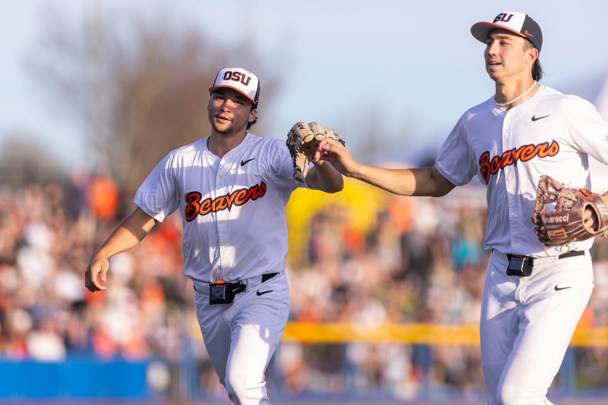 Oregon State Beavers baseball vs. Washington: March 25, 2025 ...