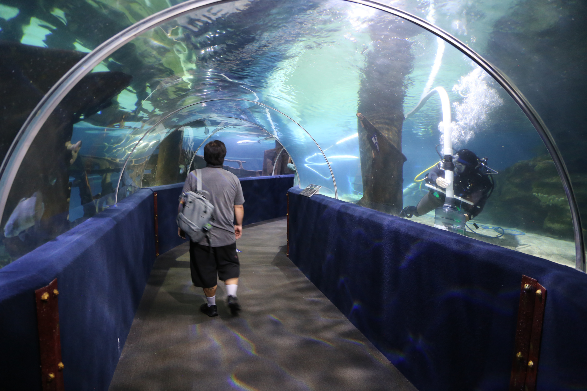 Greater Cleveland Aquarium opens to the public Monday - cleveland.com