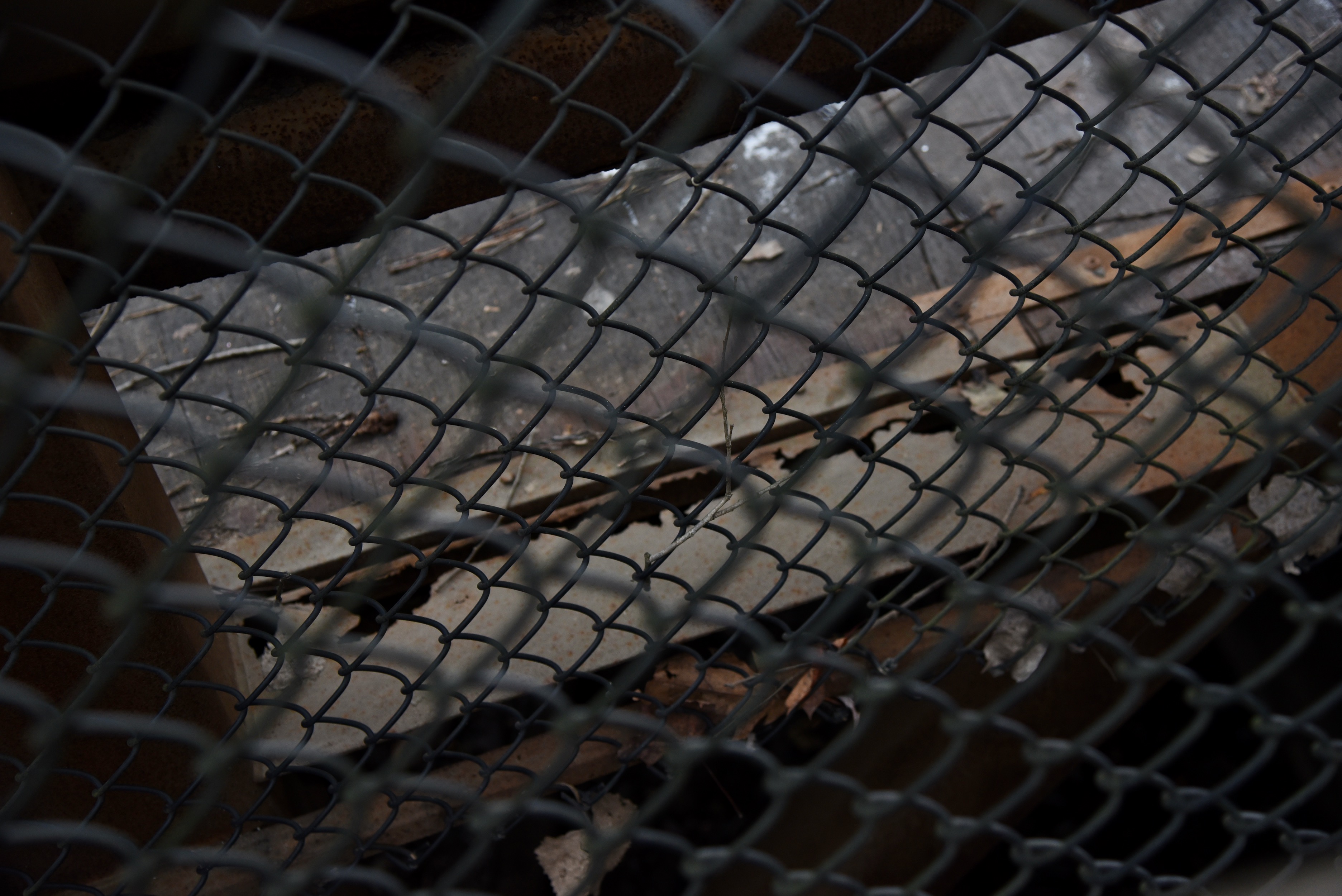 Bandemer Park pedestrian and vehicle bridges in need of repair - mlive.com