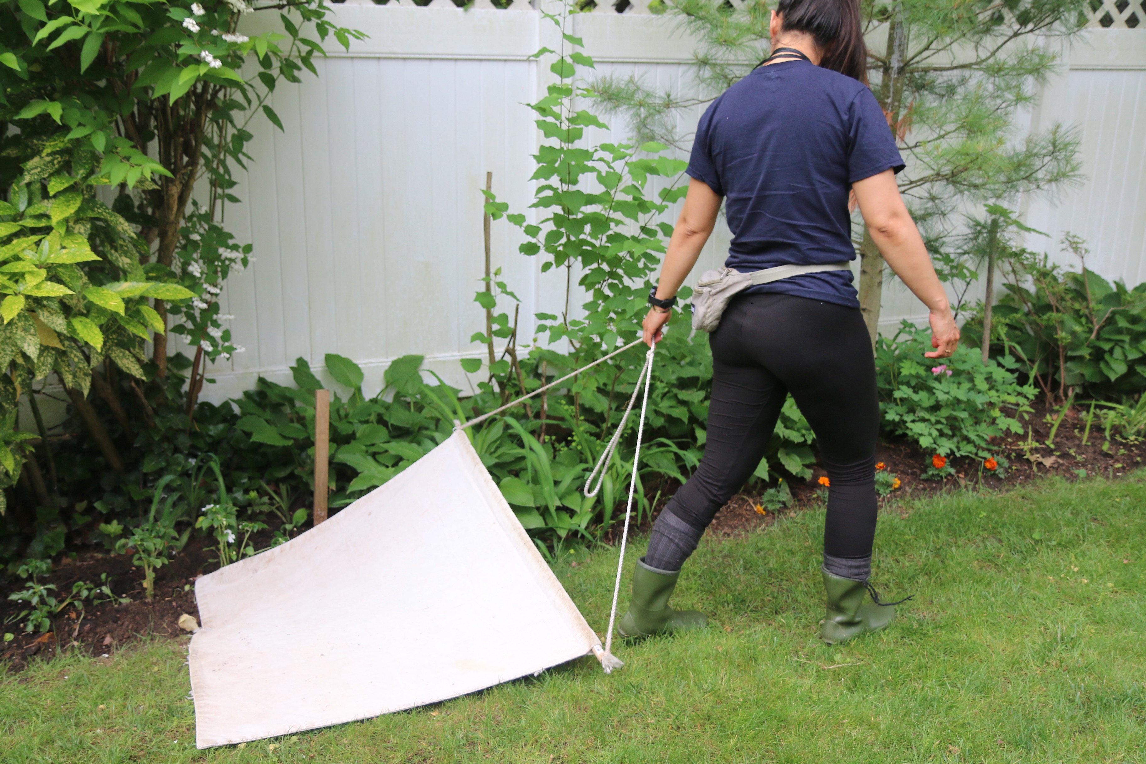 Researchers sweep for ticks on Staten Island - silive.com