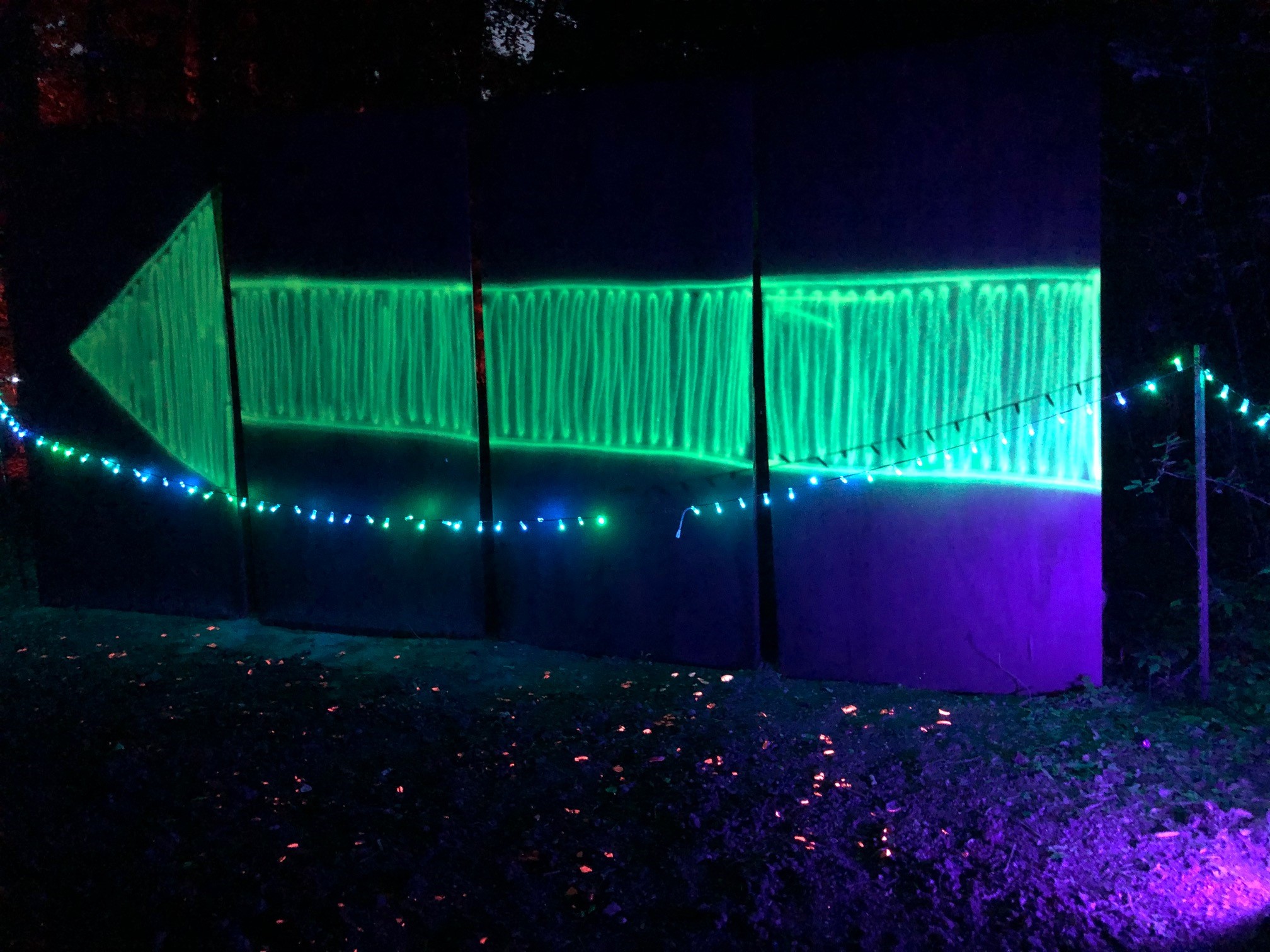 Glenlore Trails forest light show experience - mlive.com