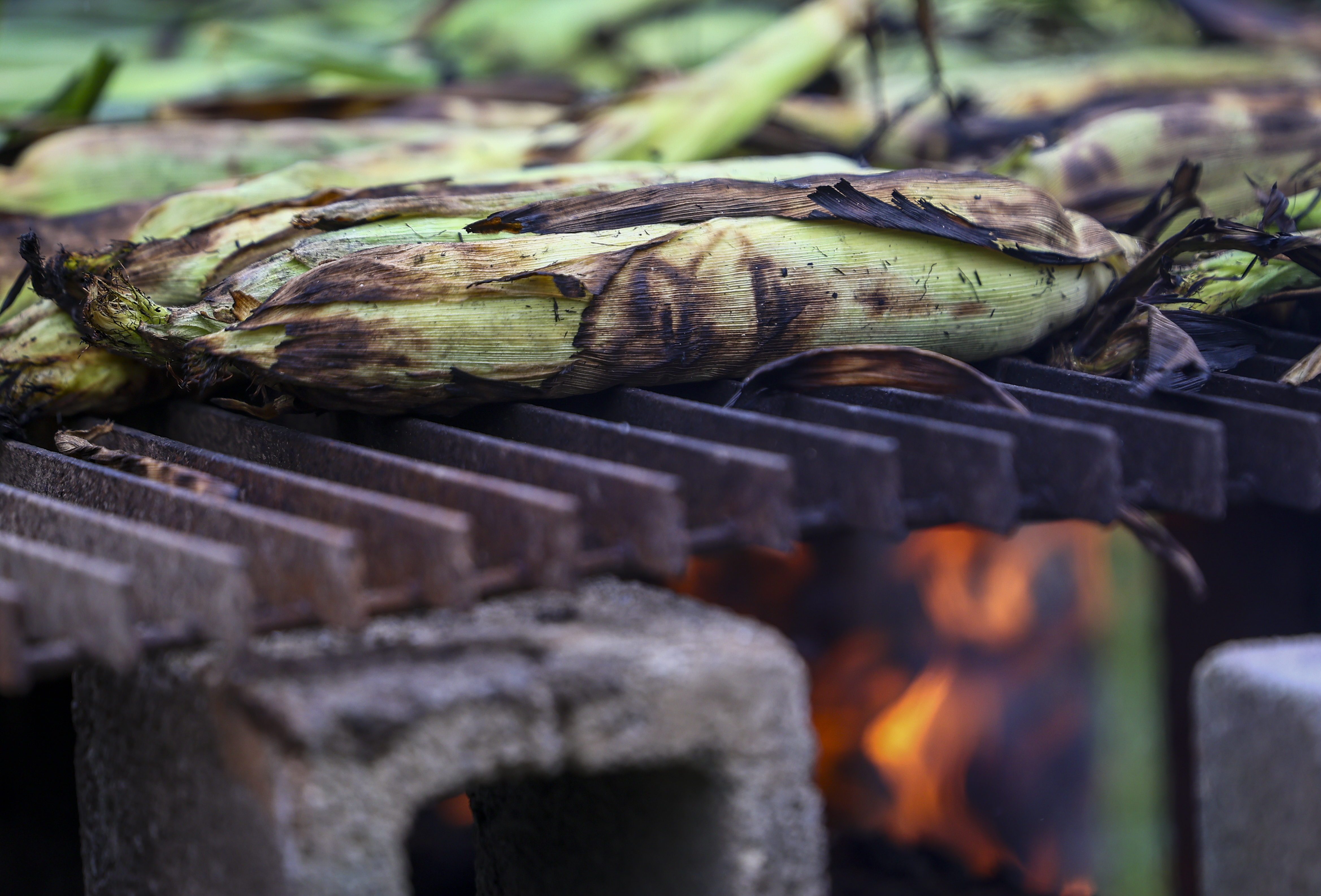 2024 Roasting Ears of Corn Festival - lehighvalleylive.com
