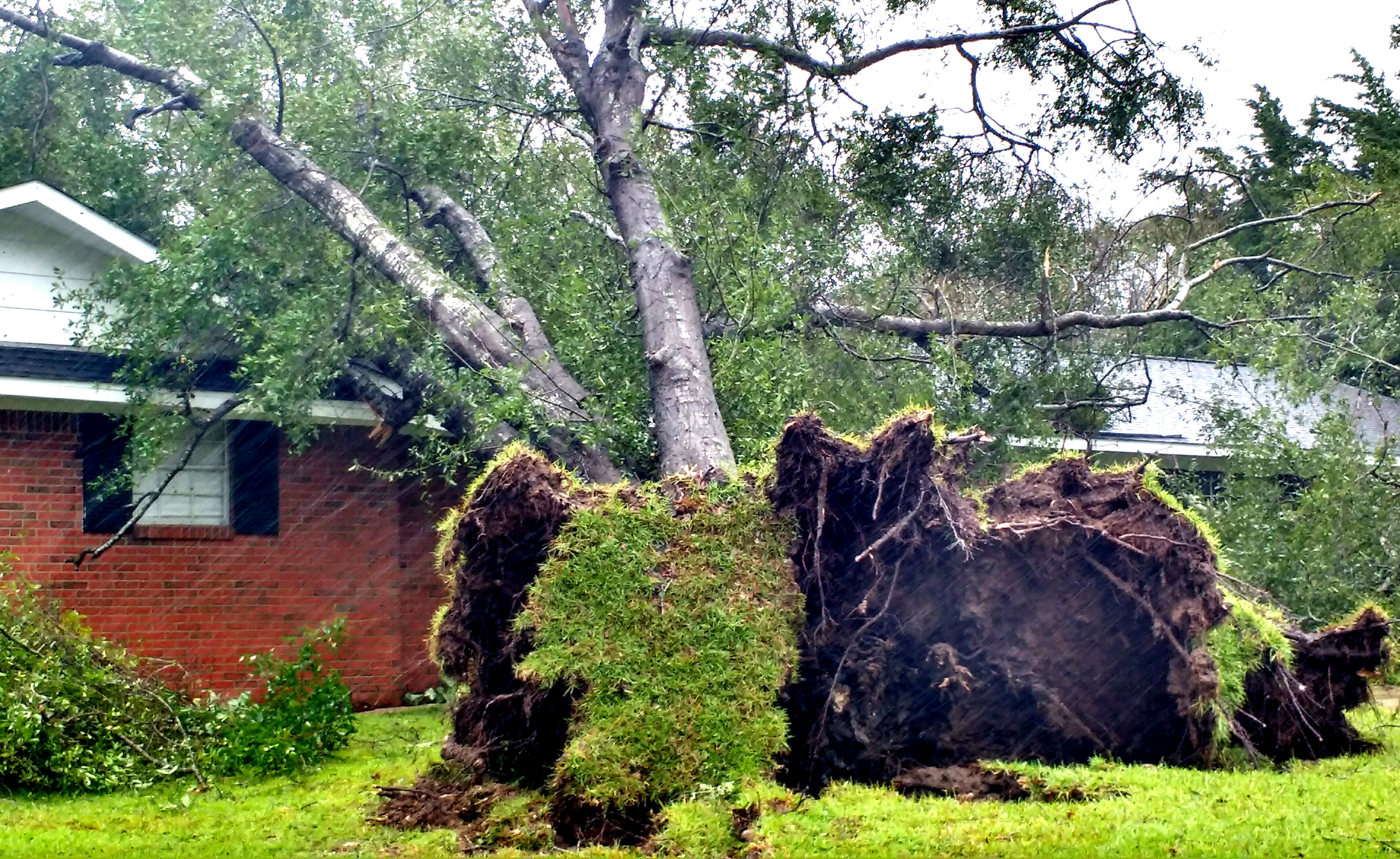 Hurricane Sally damage in coastal Alabama - pennlive.com