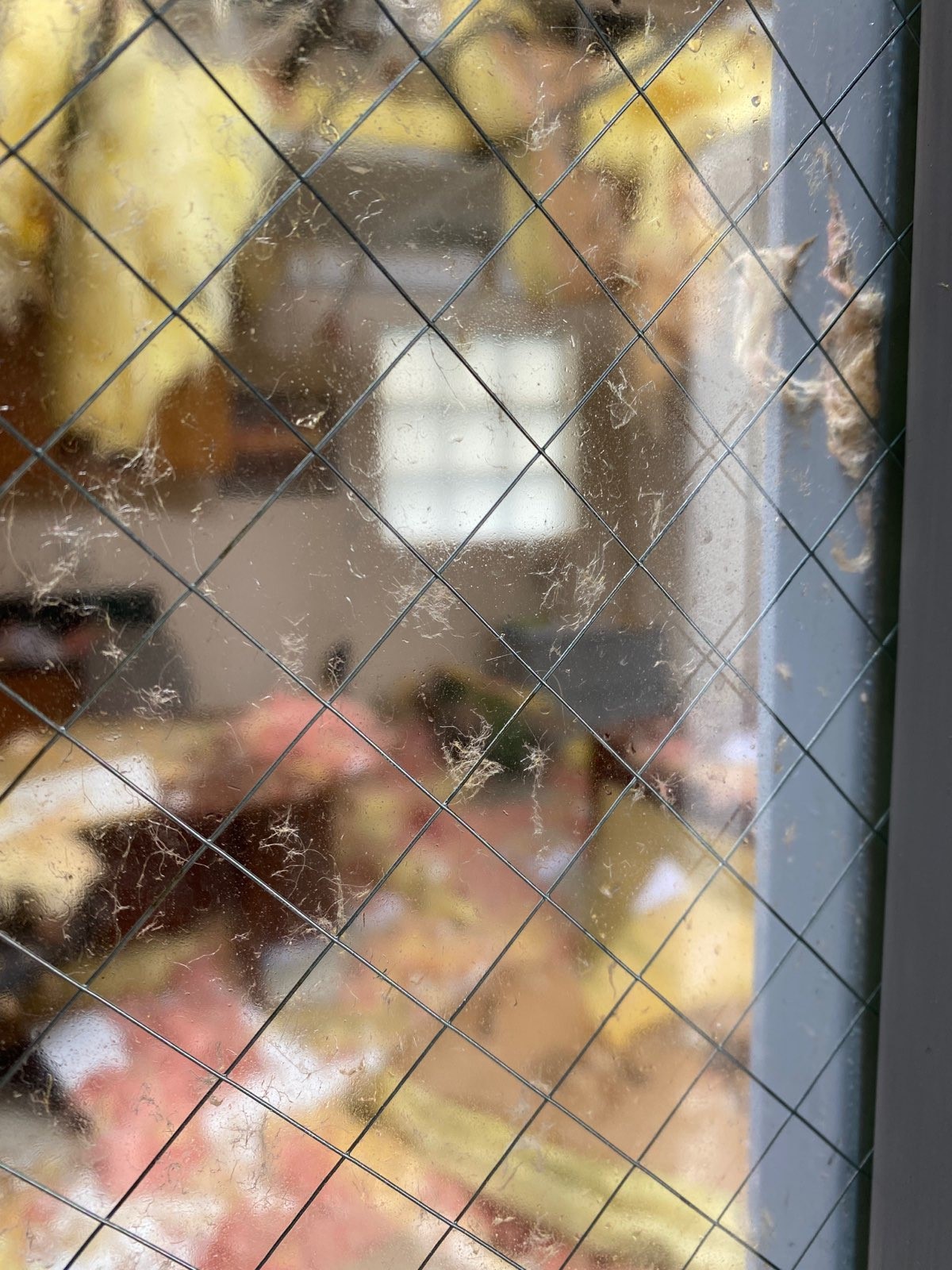 Dauphin Island Sea lab - al.com