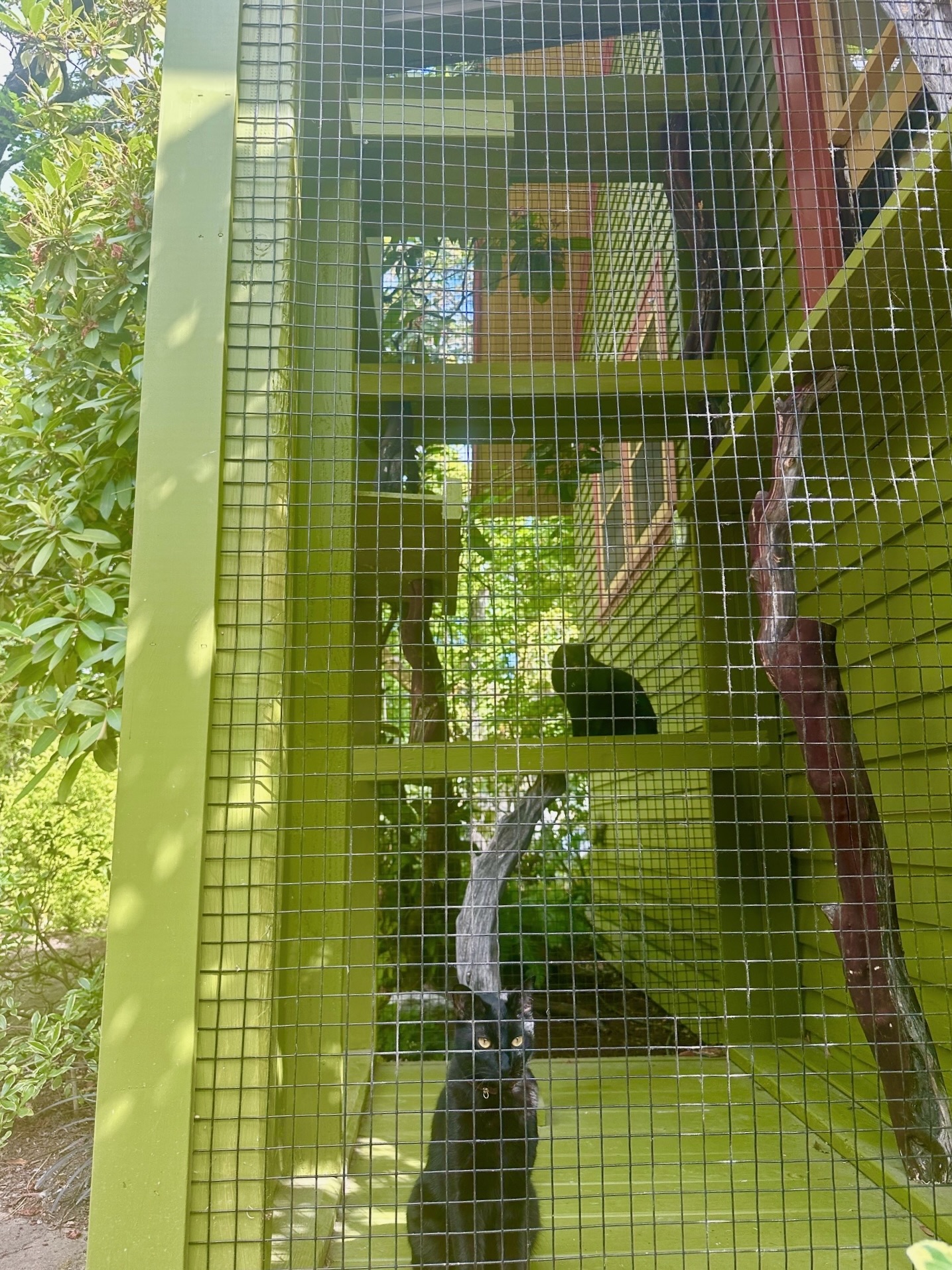 2024 Catio Tour - oregonlive.com