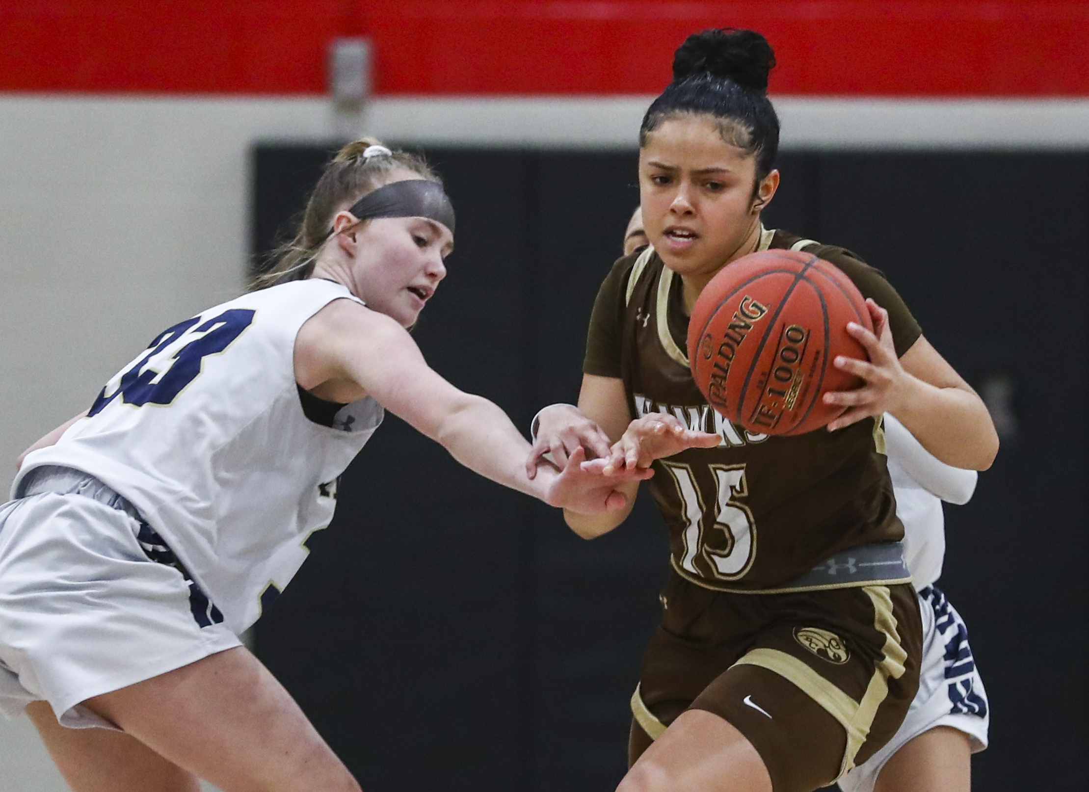 PIAA Class 5A girls basketball quarterfinals: West Chester Rustin vs ...