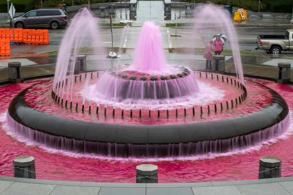Capitol fountain turns pink to fight breast cancer - pennlive.com