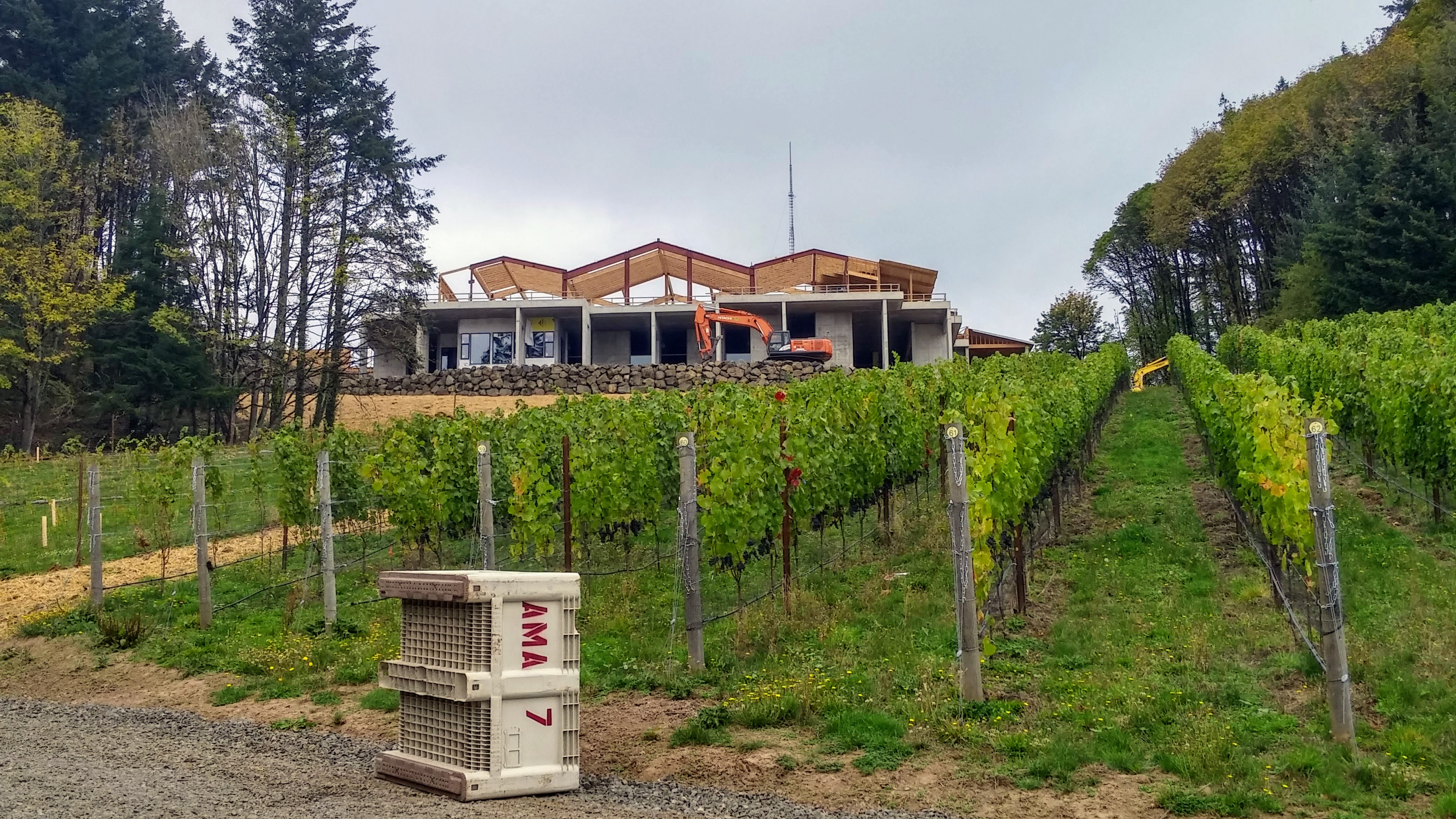 Amaterra Wines opens - oregonlive.com