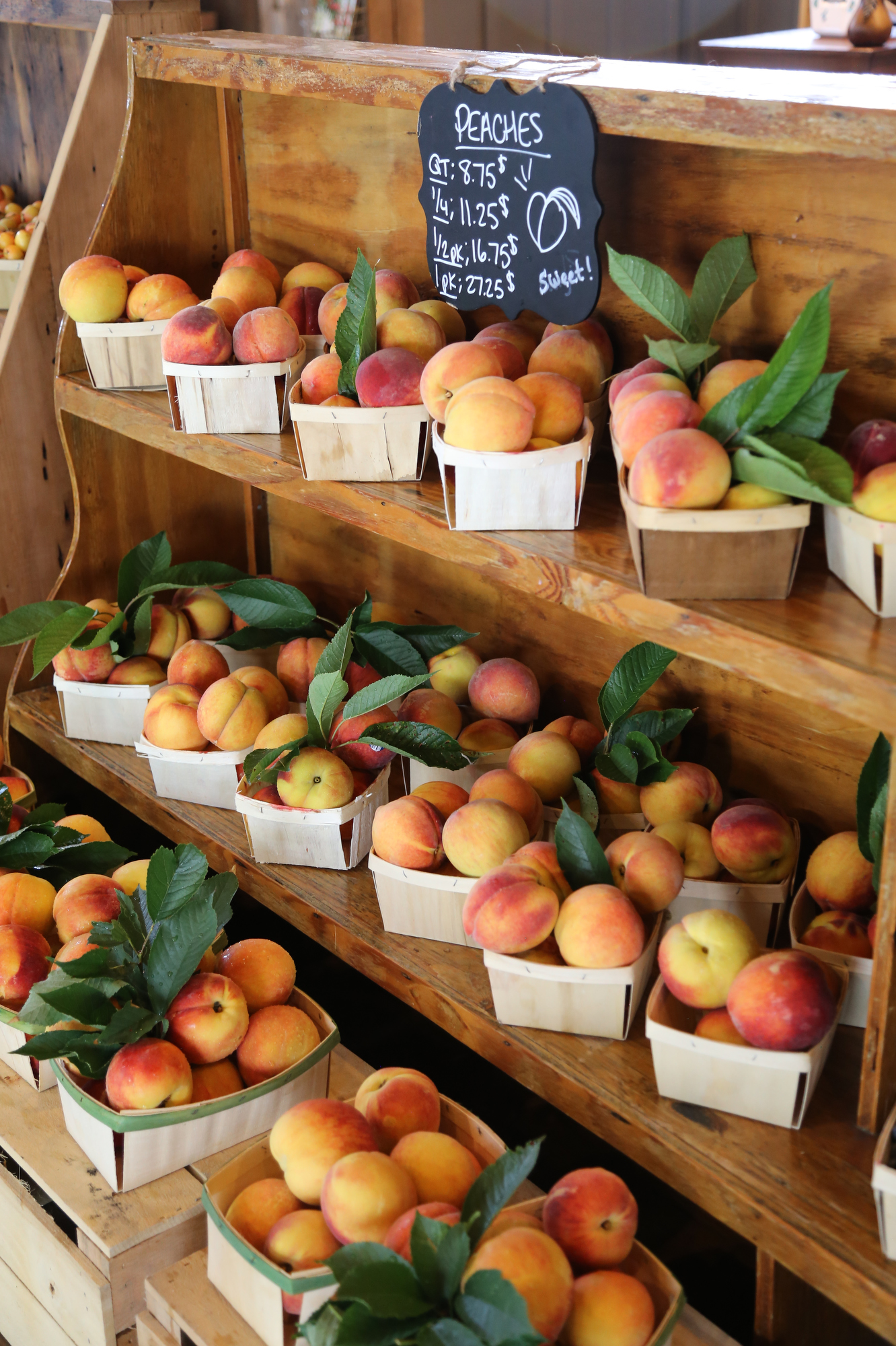 Quarry Hill Orchard in Berlin Heights - cleveland.com