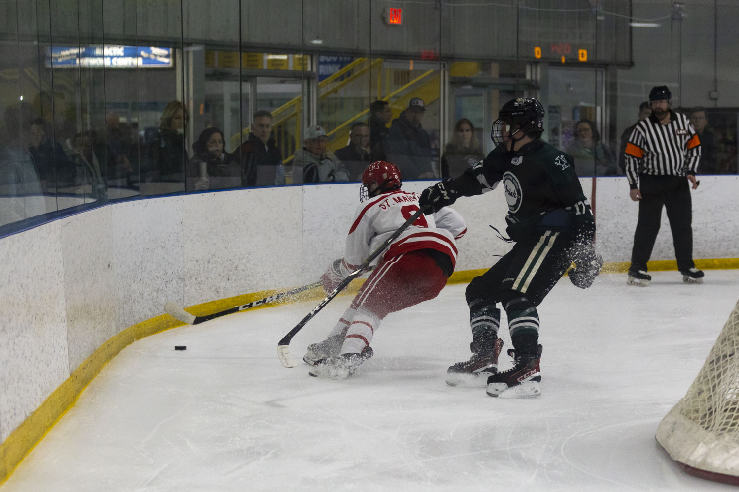 See photos as Father Gabriel Richard takes home Division 2 hockey ...