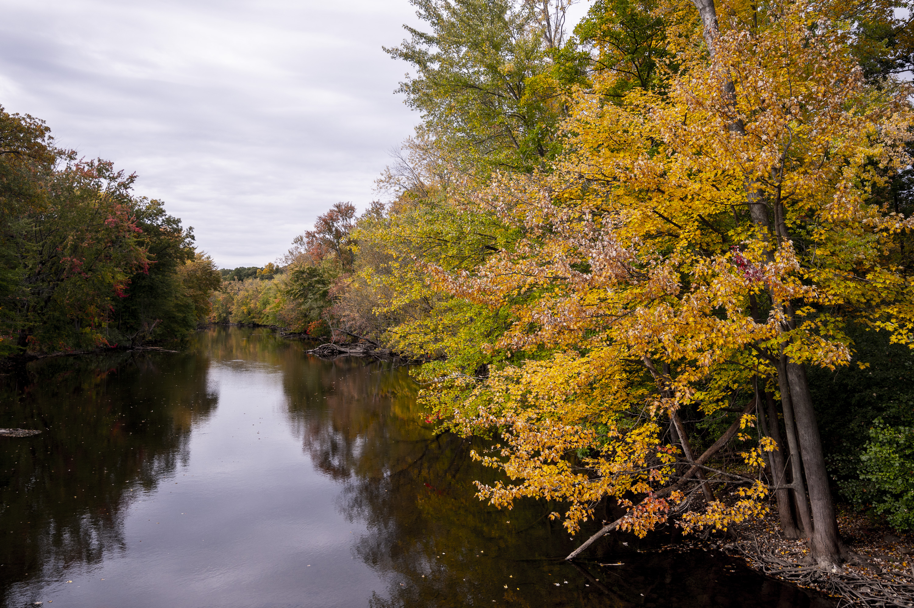 Fall colors begin to peak across Washtenaw County - mlive.com
