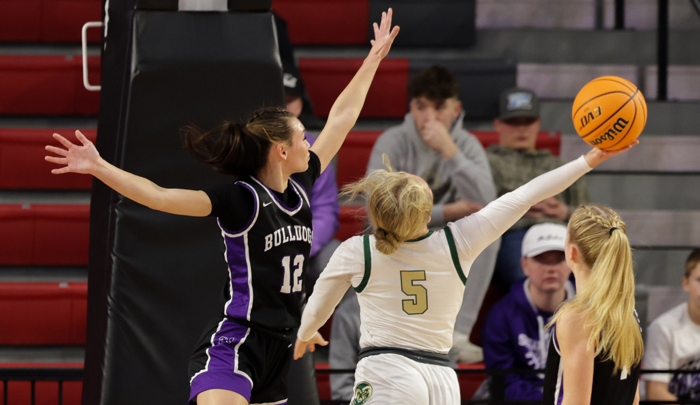 AHSAA Northeast Regional Basketball-3A - al.com