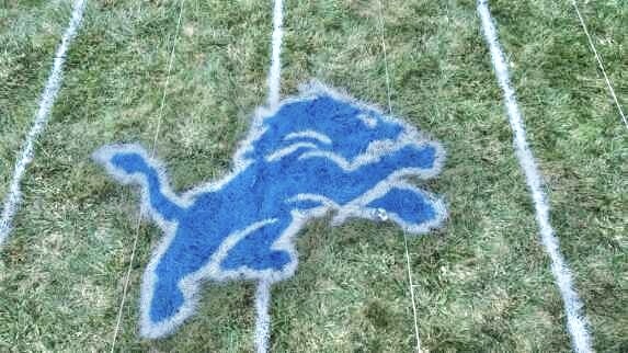 Detroit Lions fan creates Ford Field lawn in his front yard - mlive.com